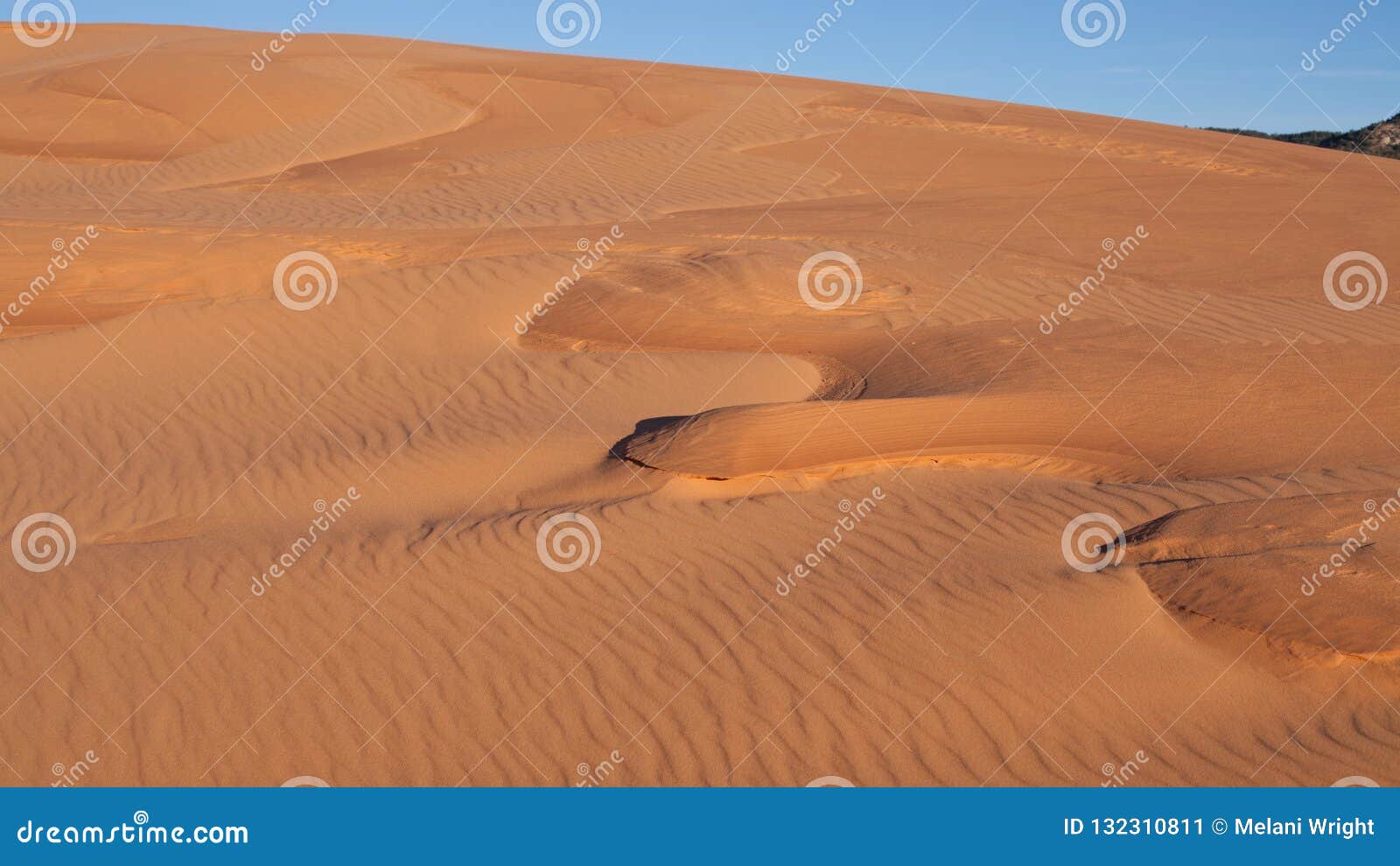 Wind Has Formed Ripple Patterns in the Sand at Coral Pink Sand Dunes ...