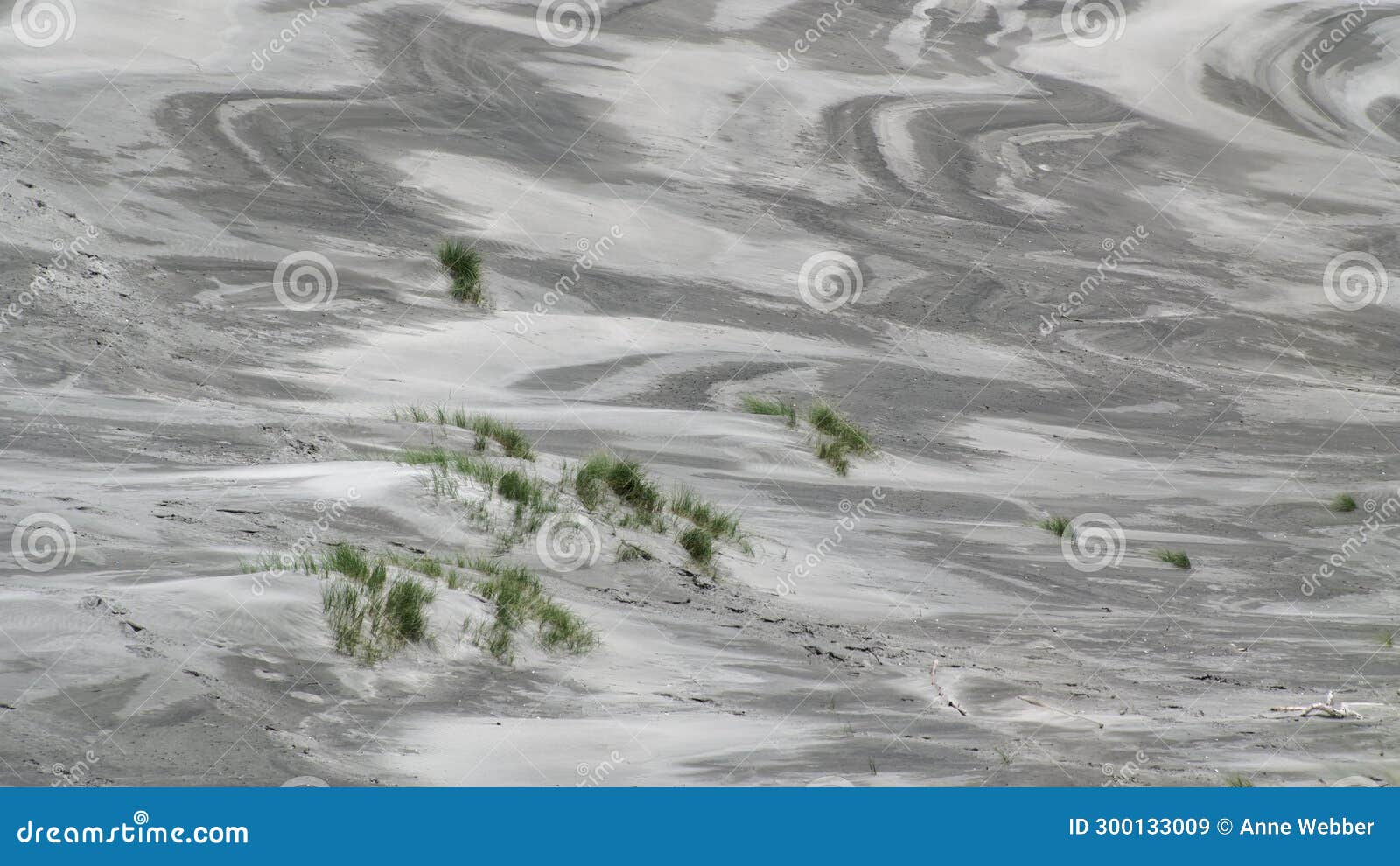Sand Patterns, Windswept Sand on the Foreshore Stock Image - Image of ...