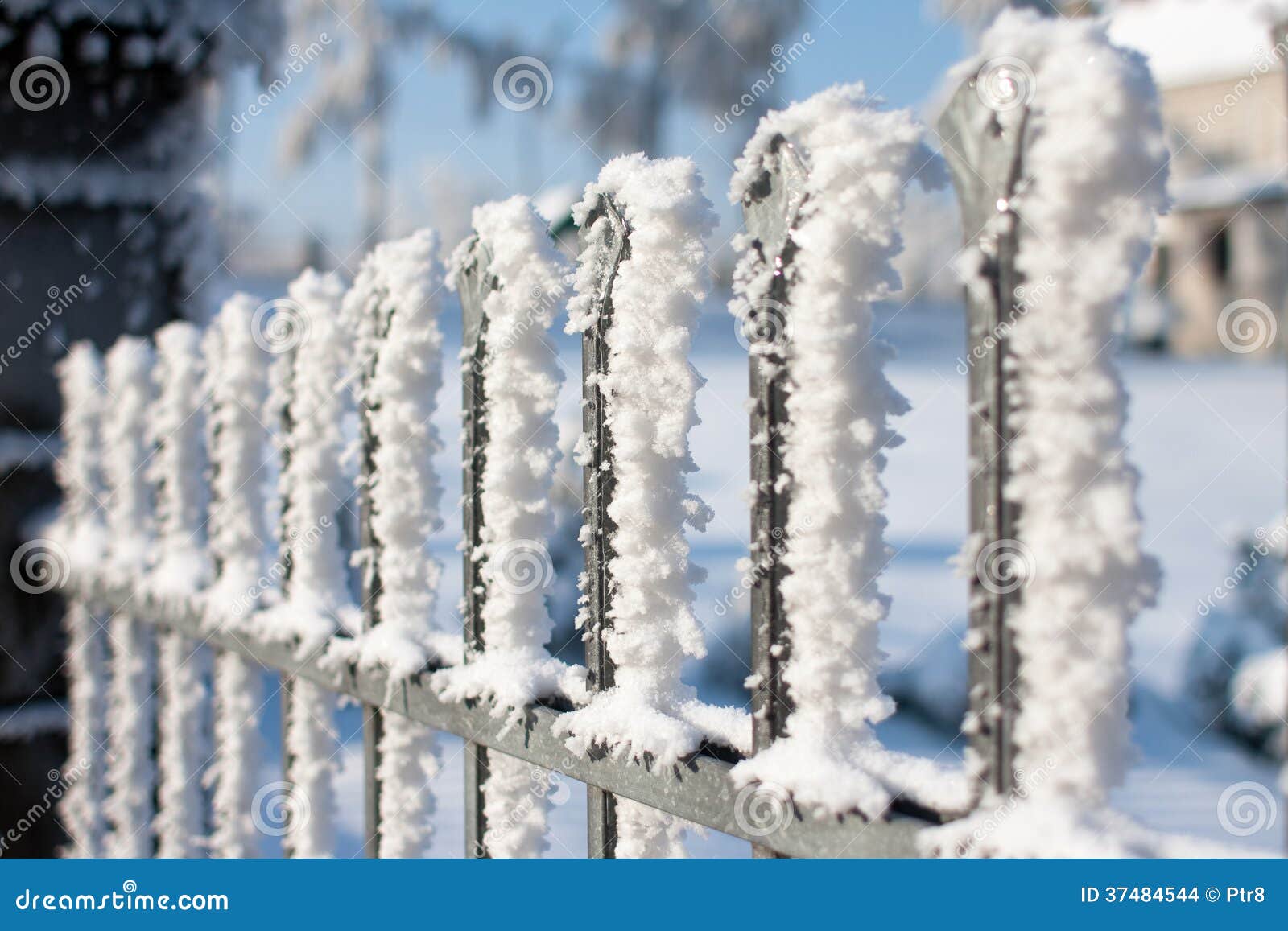 Wind ice fence stock photo. Image of metal, seasons, garden - 37484544