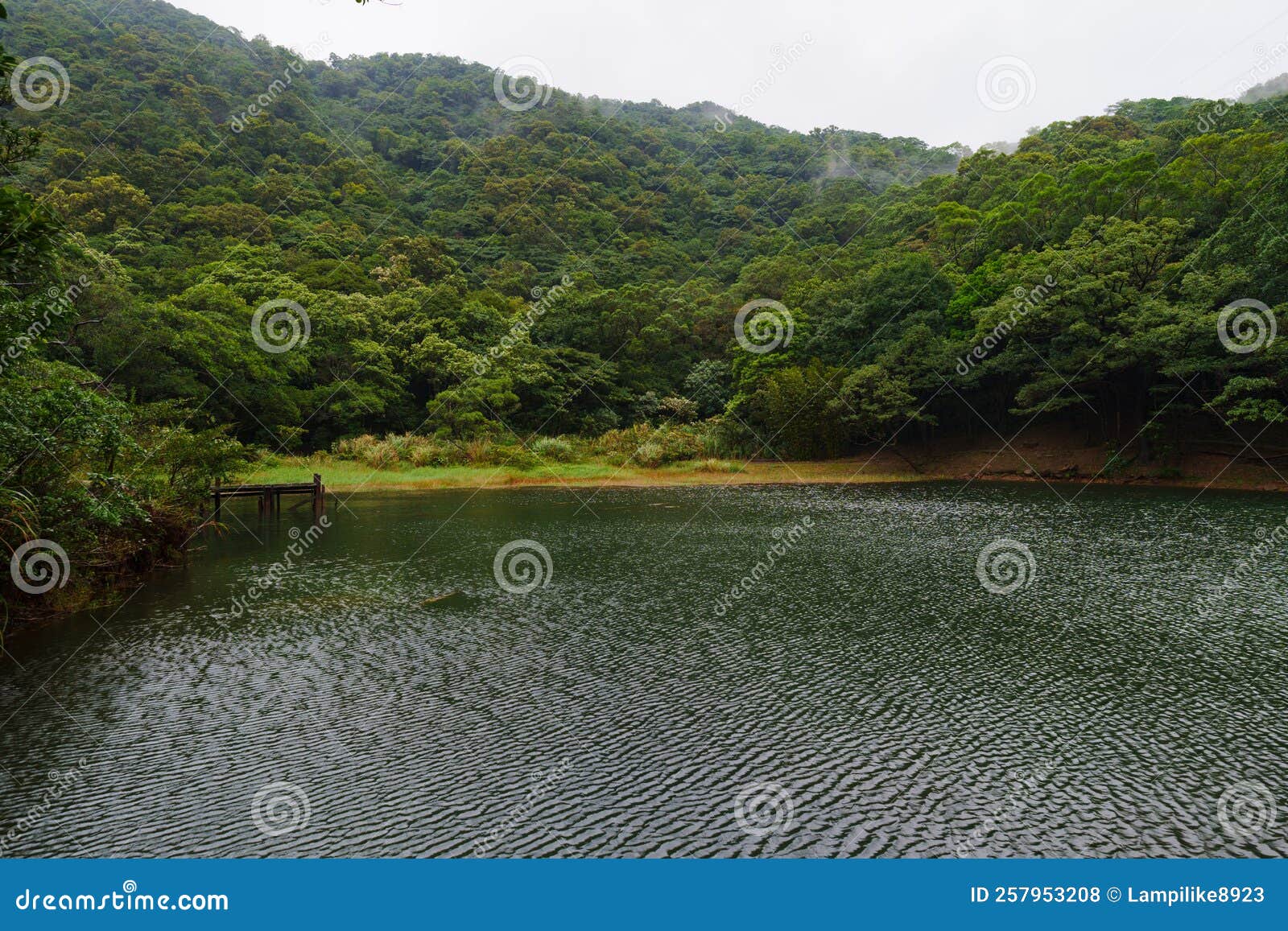 The Wind Make Waves on the Peaceful Lake Stock Photo - Image of green, pond: 257953208