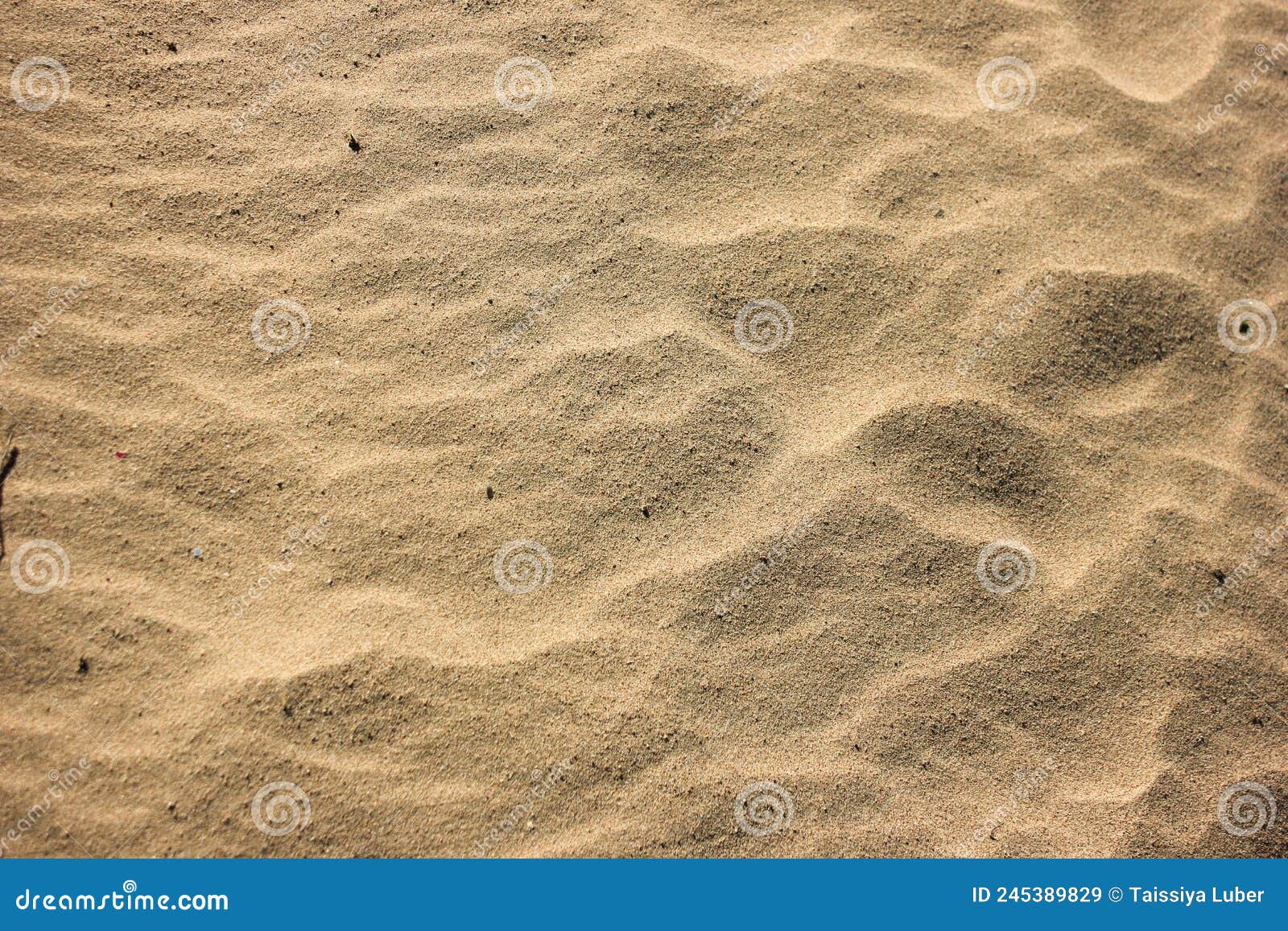 Wind Marks in the Sand on the Beach Stock Image - Image of dirt ...