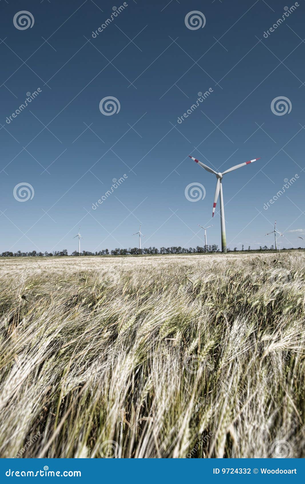 Wind mill in grain stock photo. Image of clouds, cloudy - 9724332