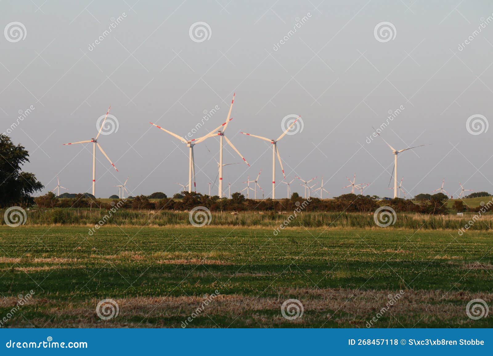 Wind Mills Making Wind Power Stock Photo - Image of motor, agricultural ...