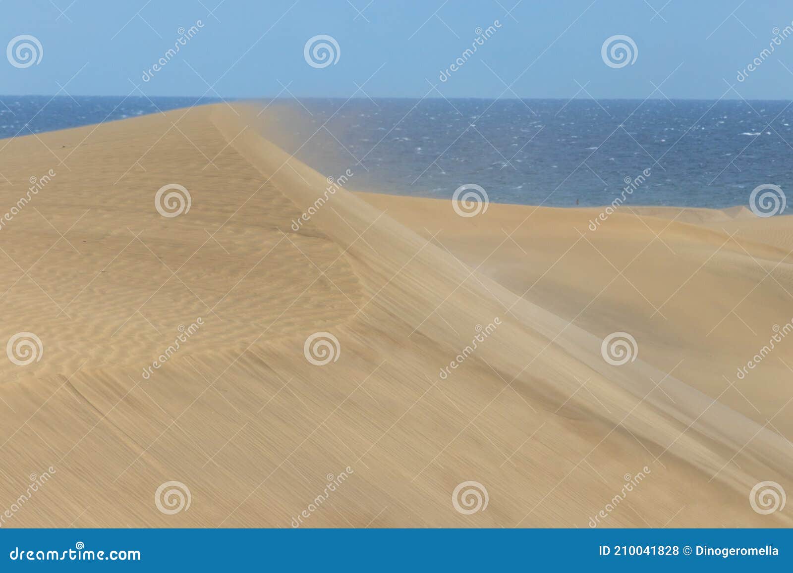 Wind moving the dunes sand stock photo. Image of golden - 210041828