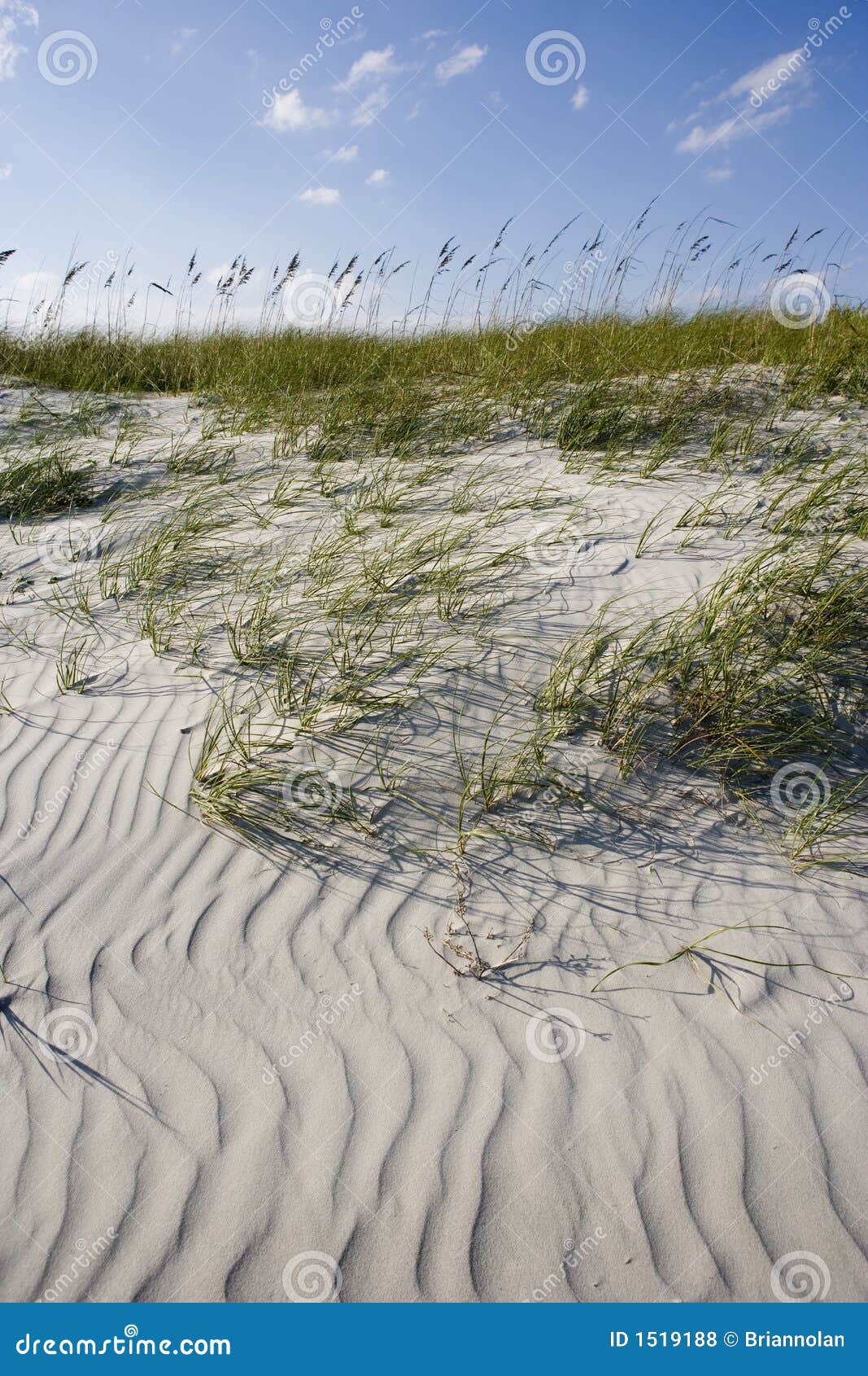 Wind patterns on beach stock photo. Image of beach, remote - 1519188