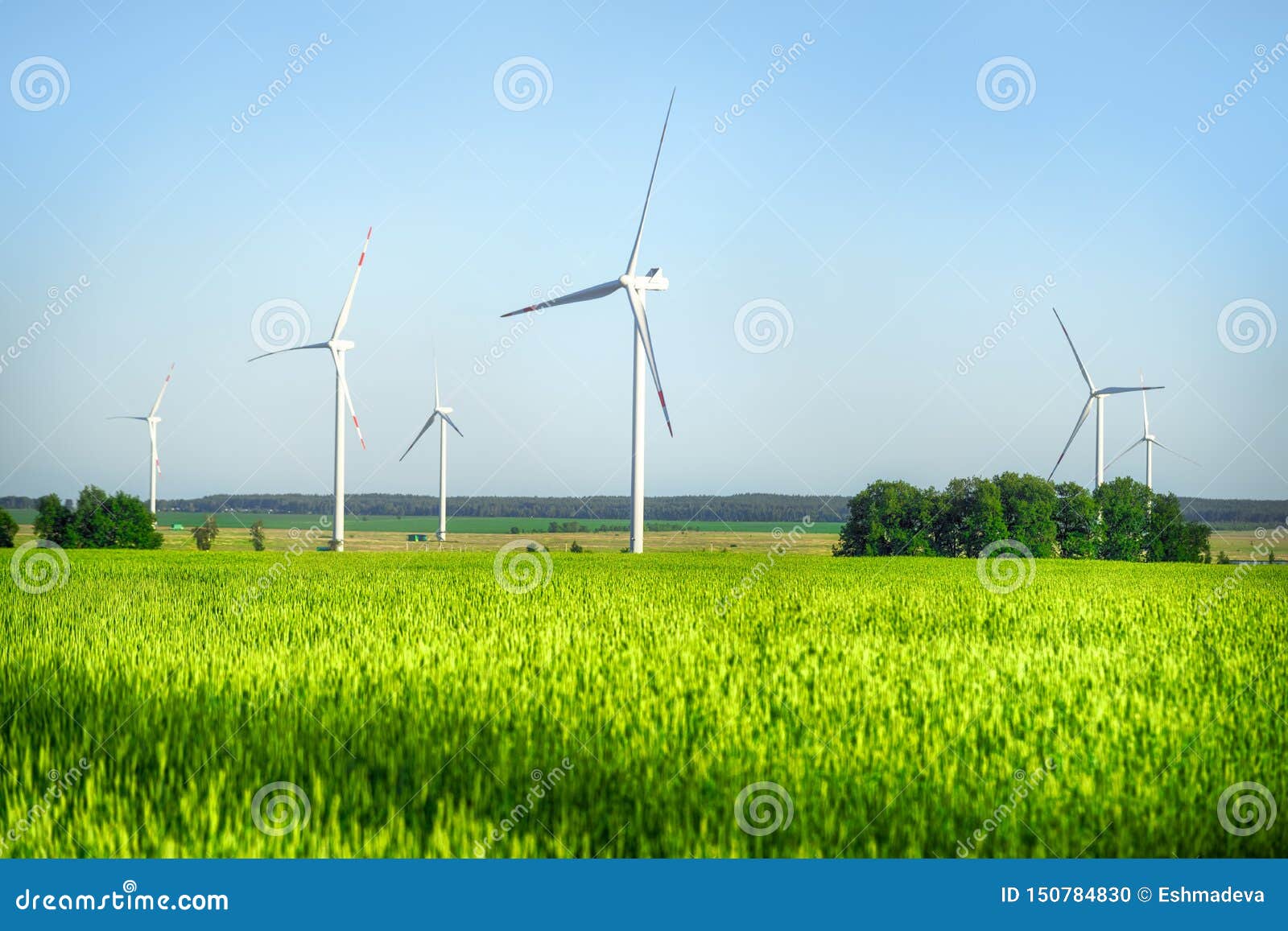 Wind Power Plant in the Bright Green Field Stock Photo - Image of field ...