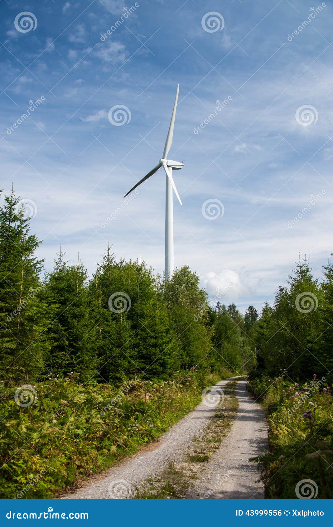 Wind Power Plant in the Forest Stock Photo - Image of renewable ...