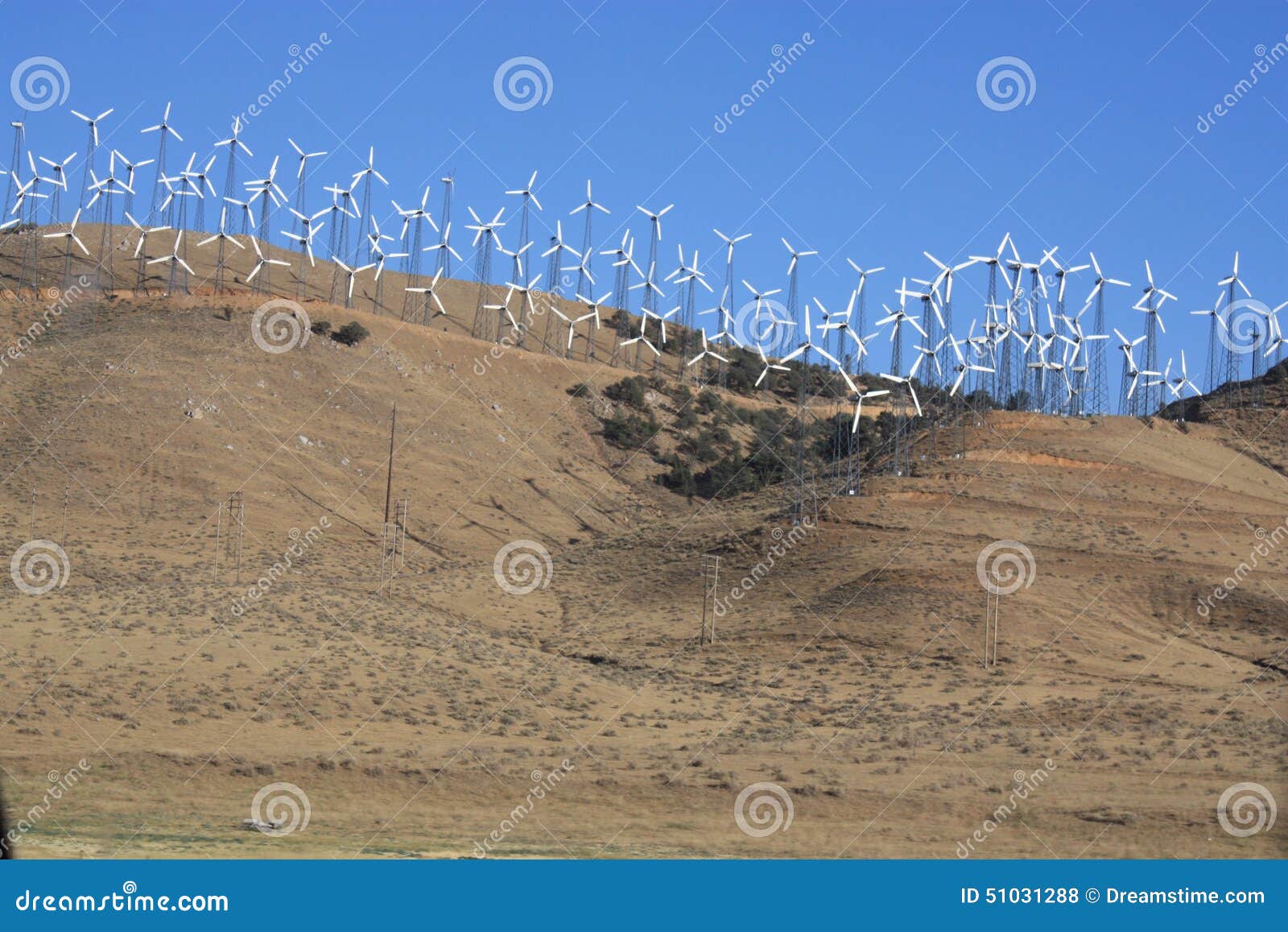 Dessert Stations Stock Photos - Free & Royalty-Free Stock Photos from ...