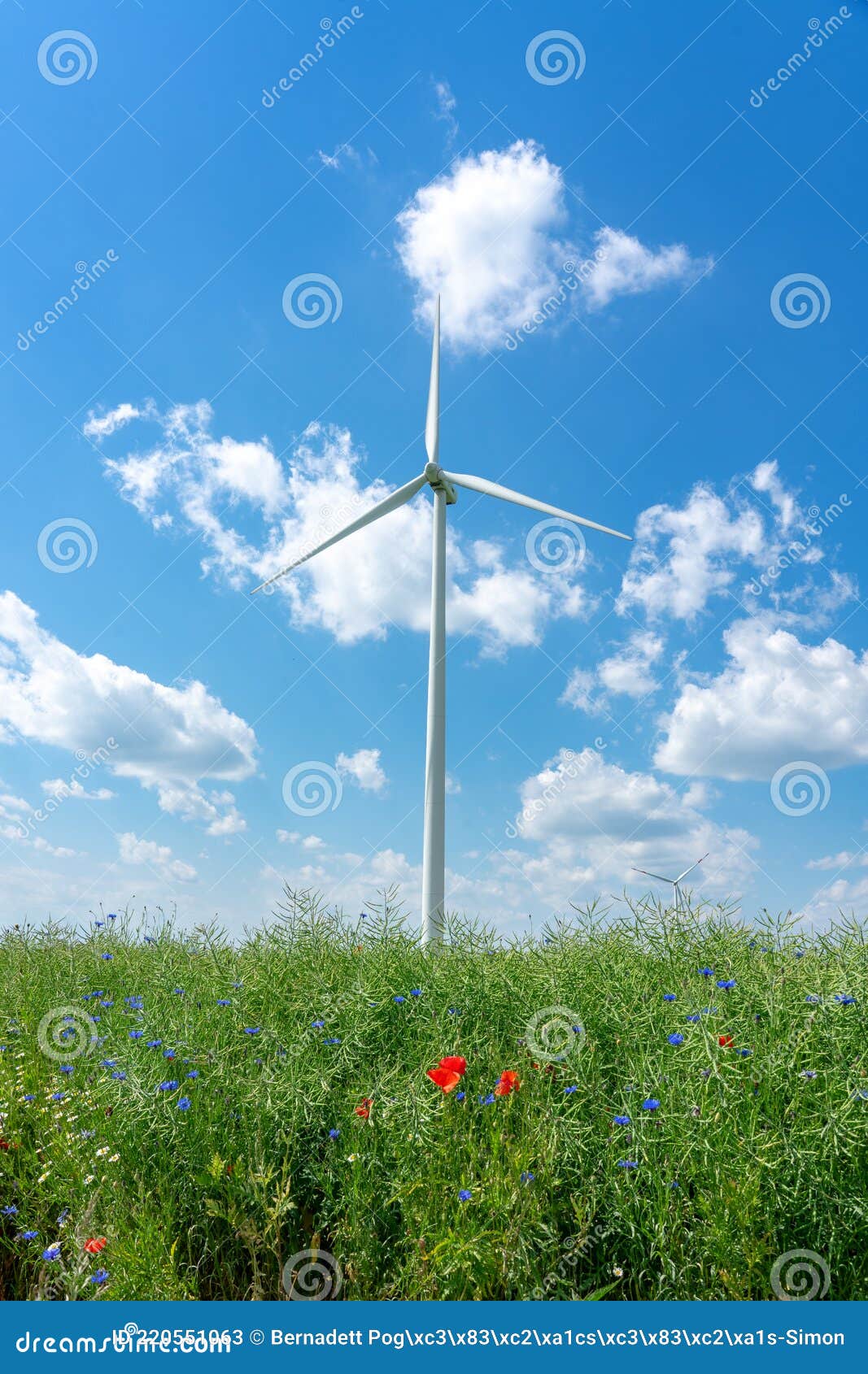 Wind Power Wheel on a Wild Flower Field with Nice Blue Sky Stock Image ...