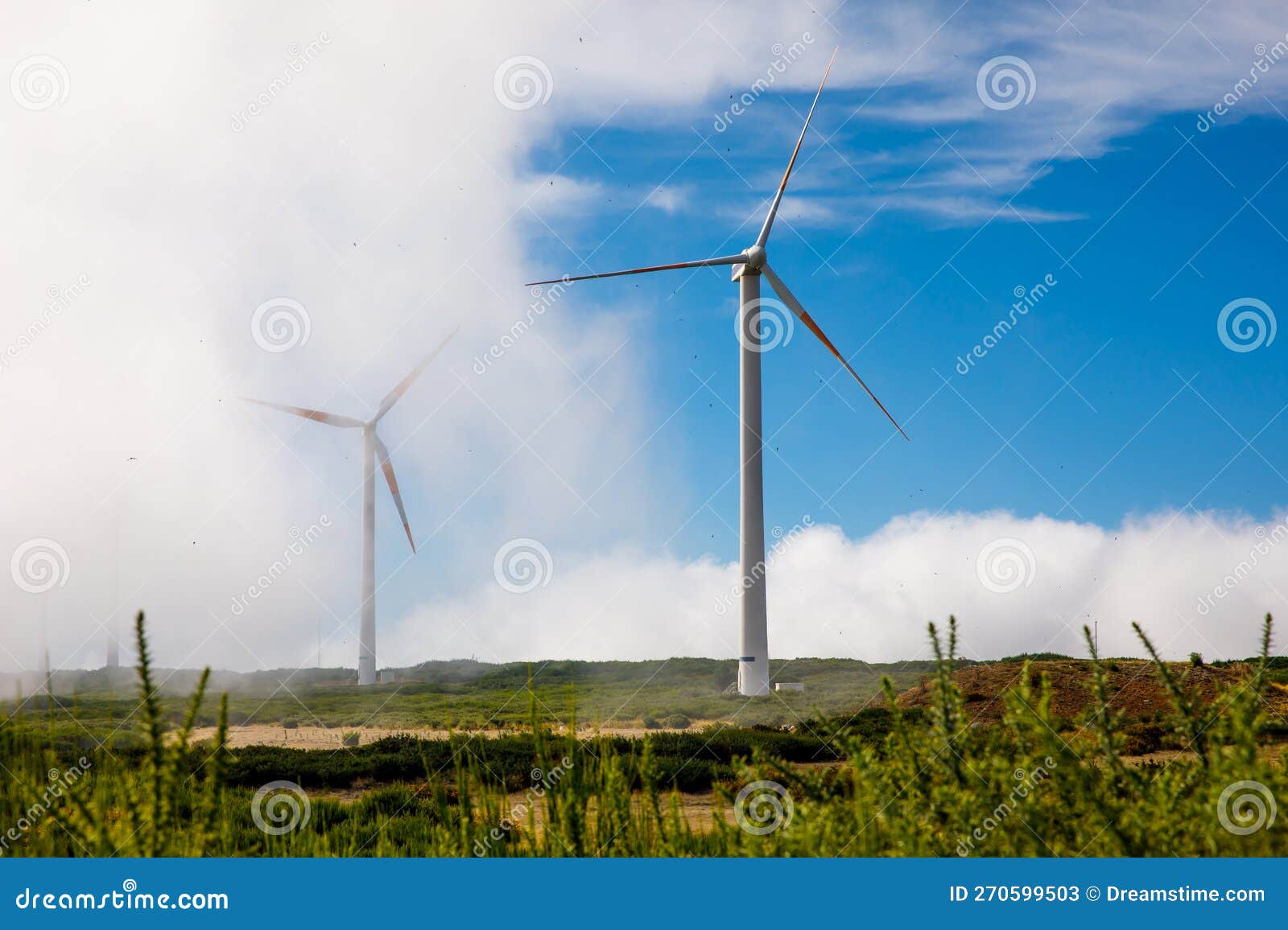 Wind Propeller Turbines on a High Mountain Field among the Clouds ...