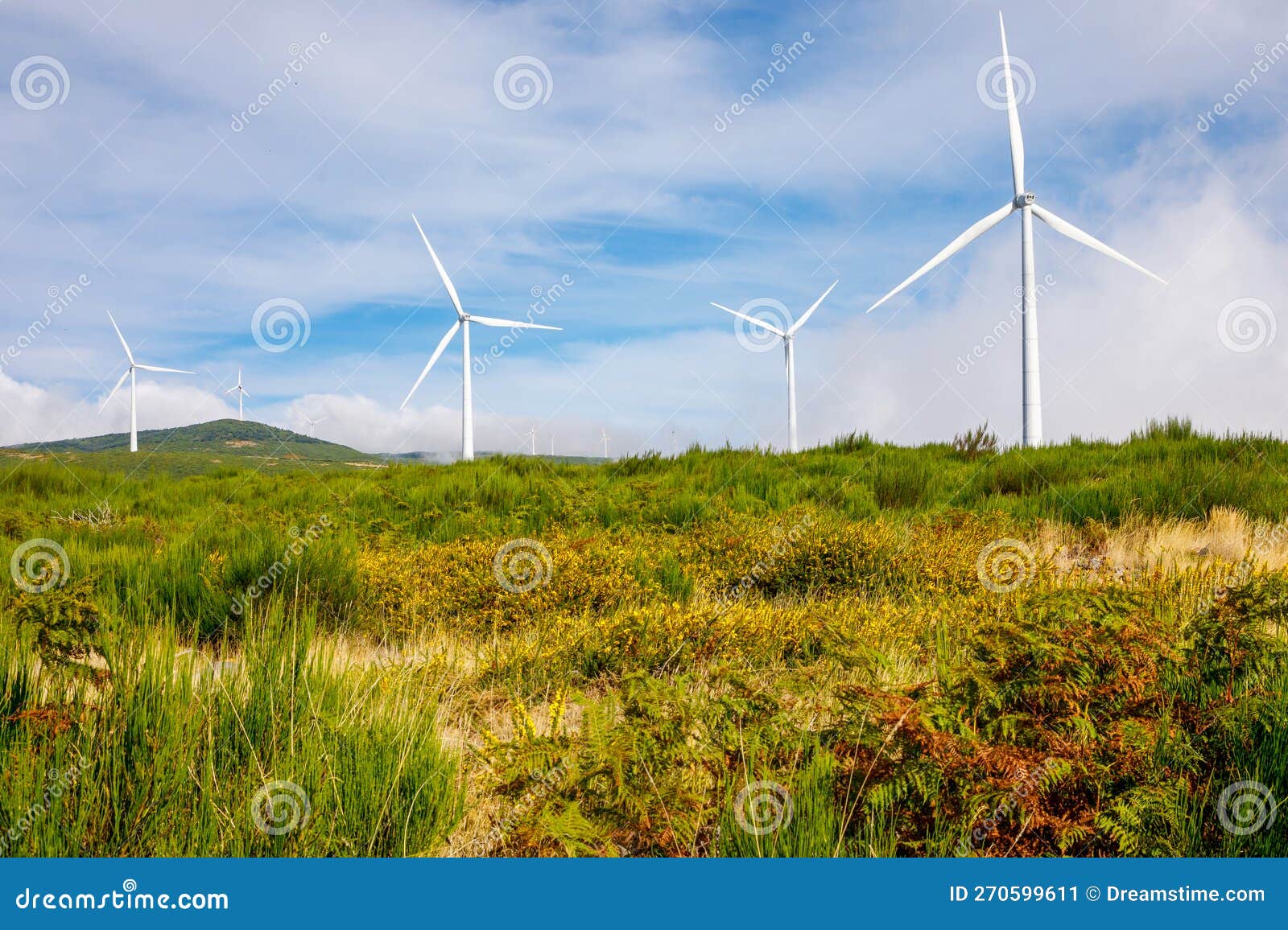 Wind Propeller Turbines on a High Mountain Field among the Clouds ...