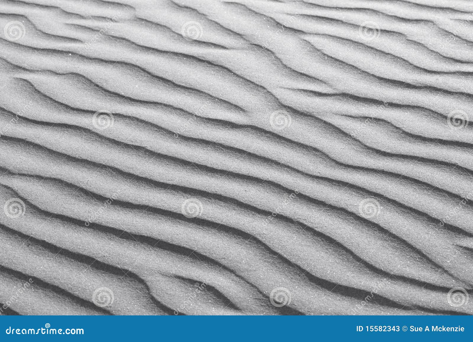 Wind Rippled White Beach Sand Stock Image - Image of ripples, natural ...
