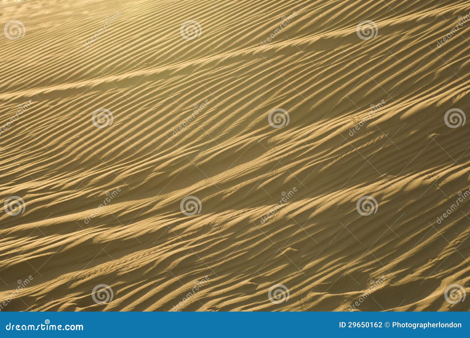 Wind Ripples stock photo. Image of track, sand, horizontal - 29650162