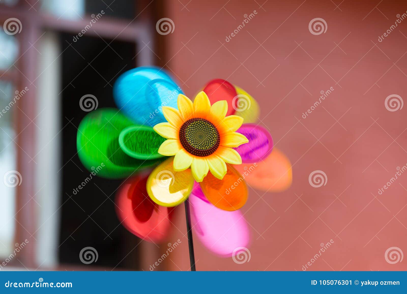 Wind rose stock image. Image of flower, colors, sunflower - 105076301
