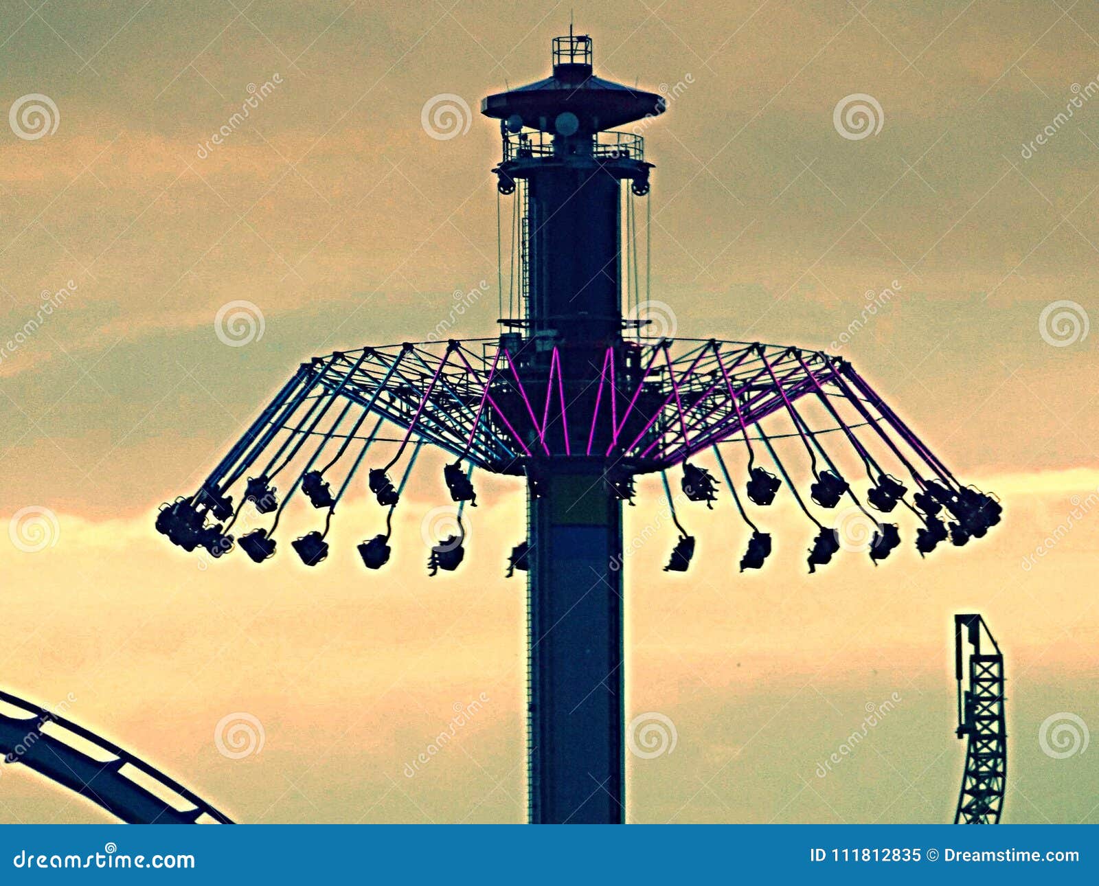 Wind seeker stock image. Image of seeker, point, cedar - 111812835