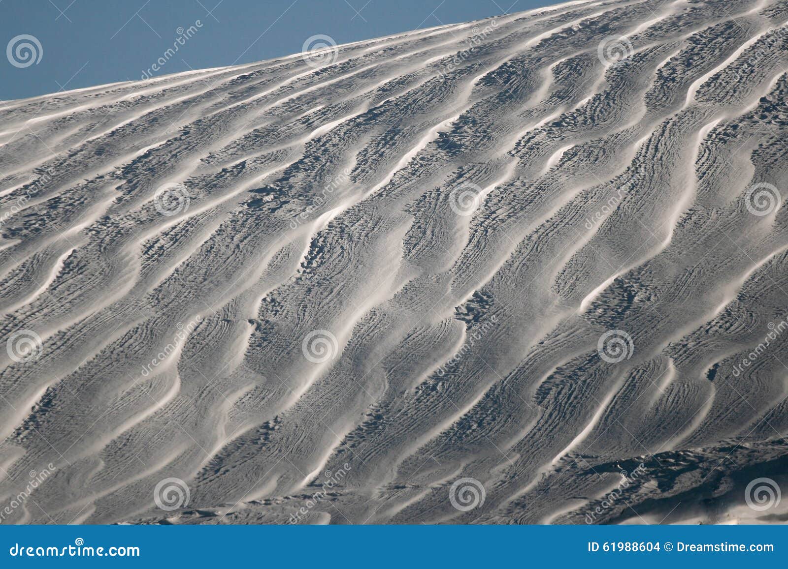 Wind shape the fresh snow stock photo. Image of covered - 61988604