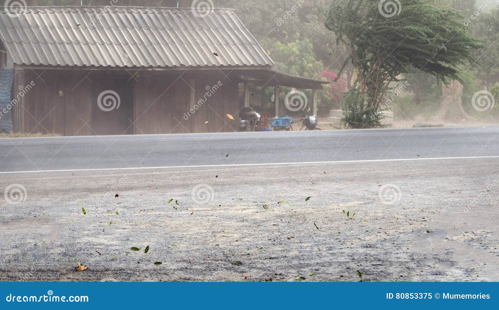 Wind Storm Blown Dust and Leaves on Road Stock Illustration ...