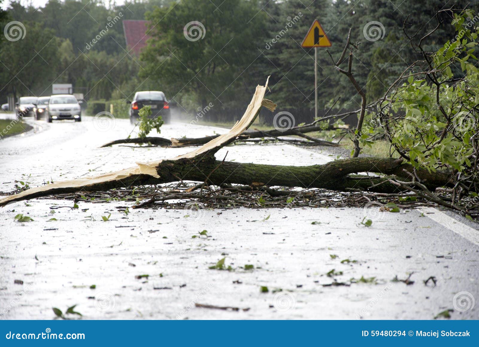 Wind Storm Damage stock photo. Image of building, debris - 59480294