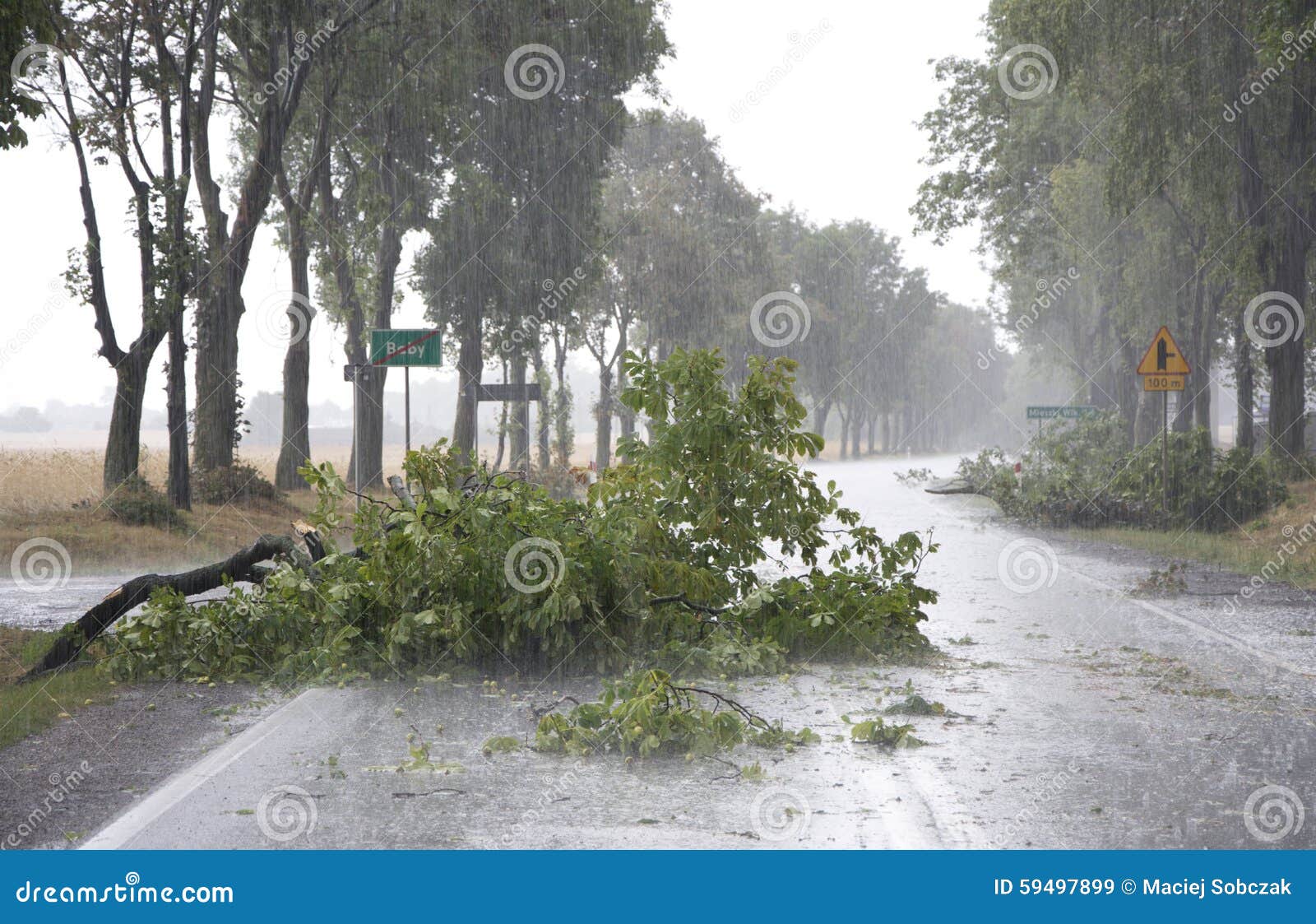 Wind Storm Damage stock image. Image of destruction, grass - 59497899