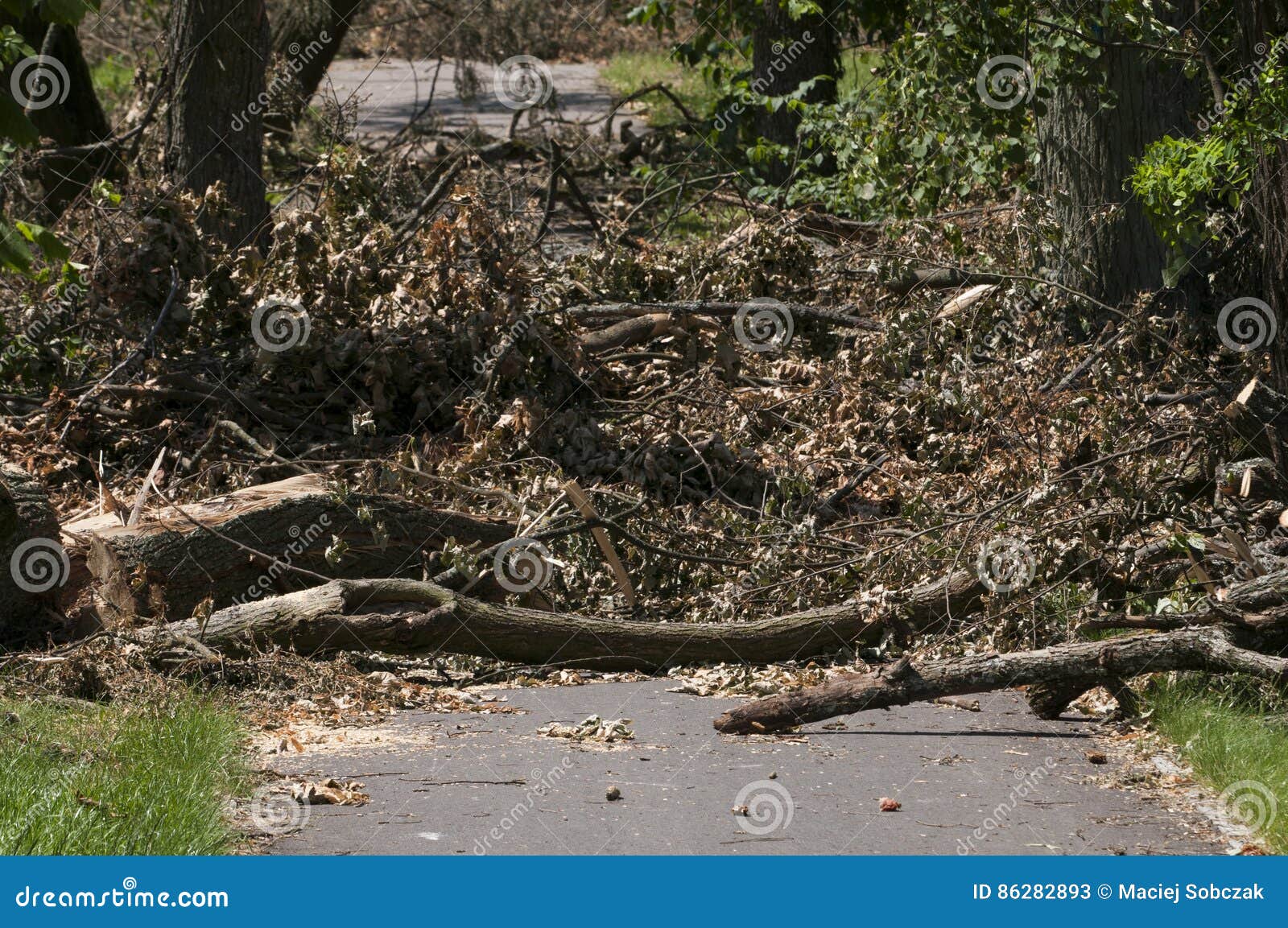 Wind Storm Damage stock image. Image of rocks, hiking - 86282893