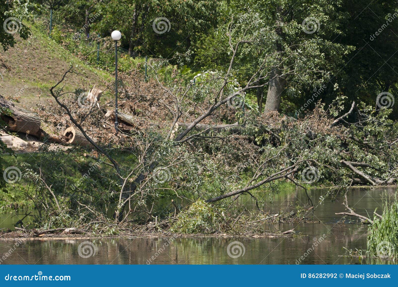 Wind Storm Damage stock photo. Image of hiking, beskidy - 86282992