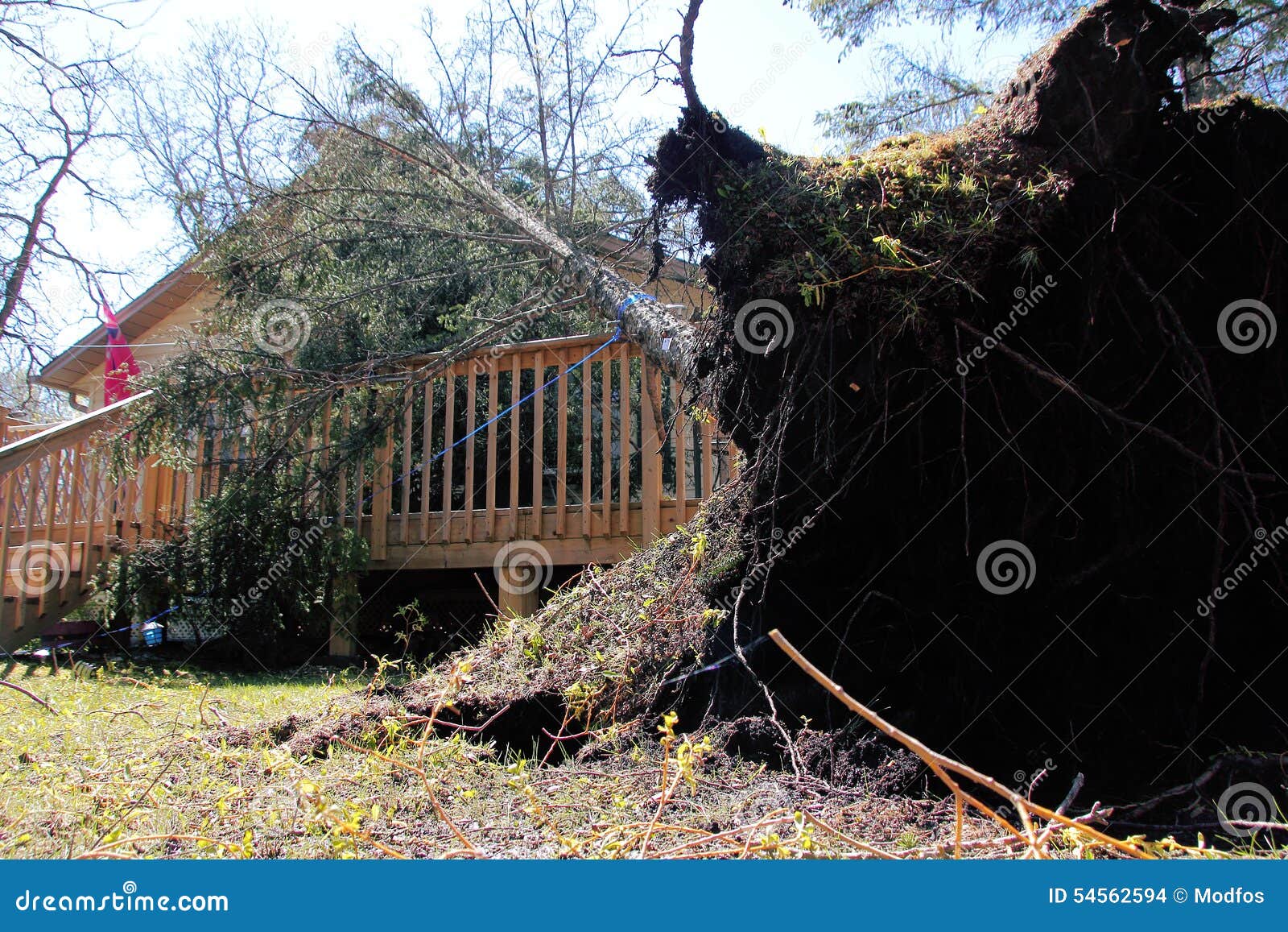 After the Wind Storm stock photo. Image of damage, residence - 54562594