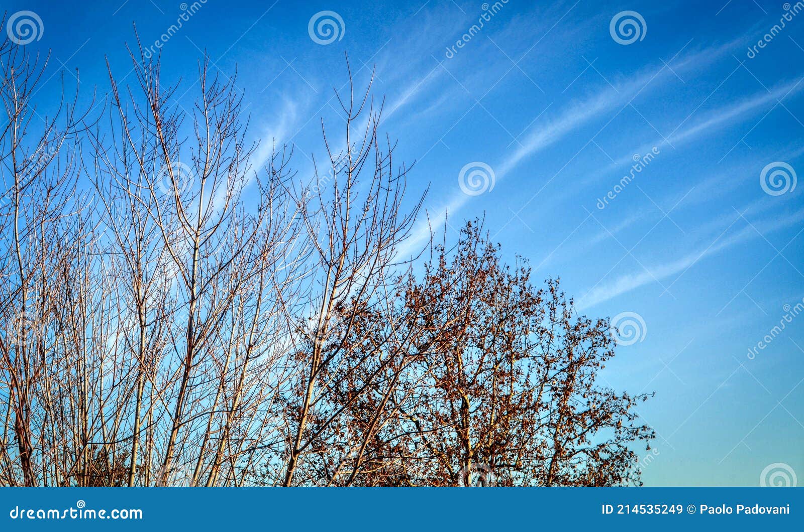 Wind streaks stock image. Image of colors, cloudy, natural - 214535249