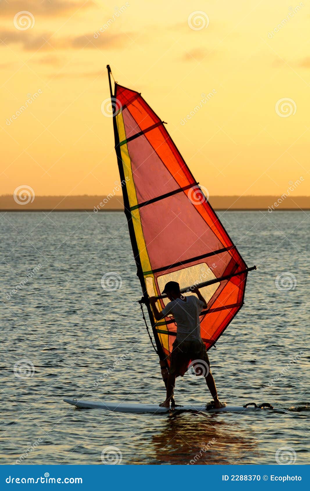 Wind surfer stock photo. Image of windsurfer, tropical - 2288370