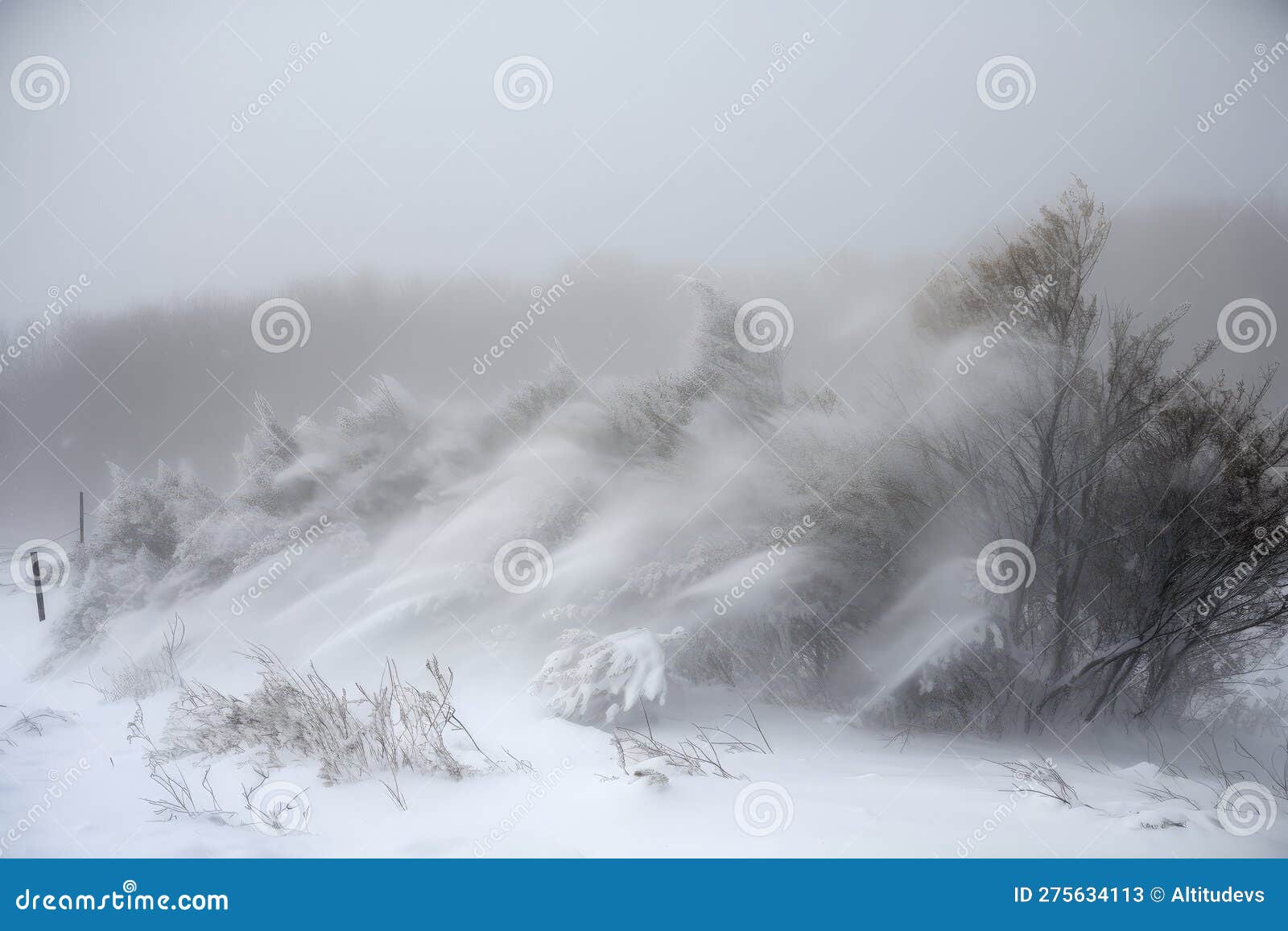 Wind-swept Blizzard, with Snow Flying in All Directions Stock Image ...