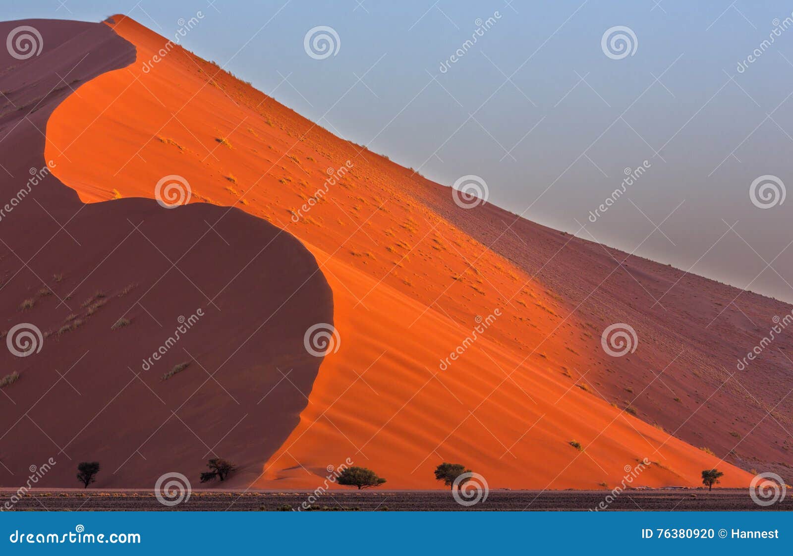 Wind swept dune stock photo. Image of africa, swept, kgalagadi - 76380920