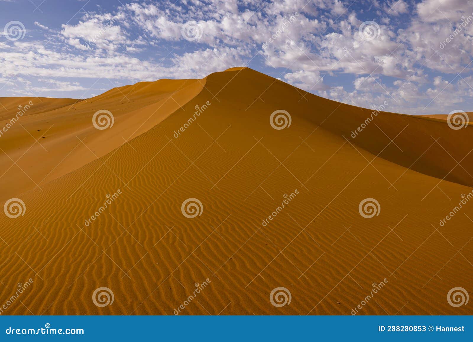 Wind Swept Patterns in the Sand on a Dune Stock Image - Image of dunes ...