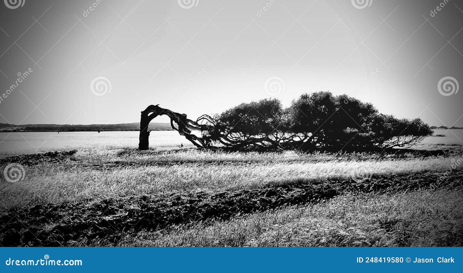 Old White Swept Wall Royalty-Free Stock Image | CartoonDealer.com #12214654