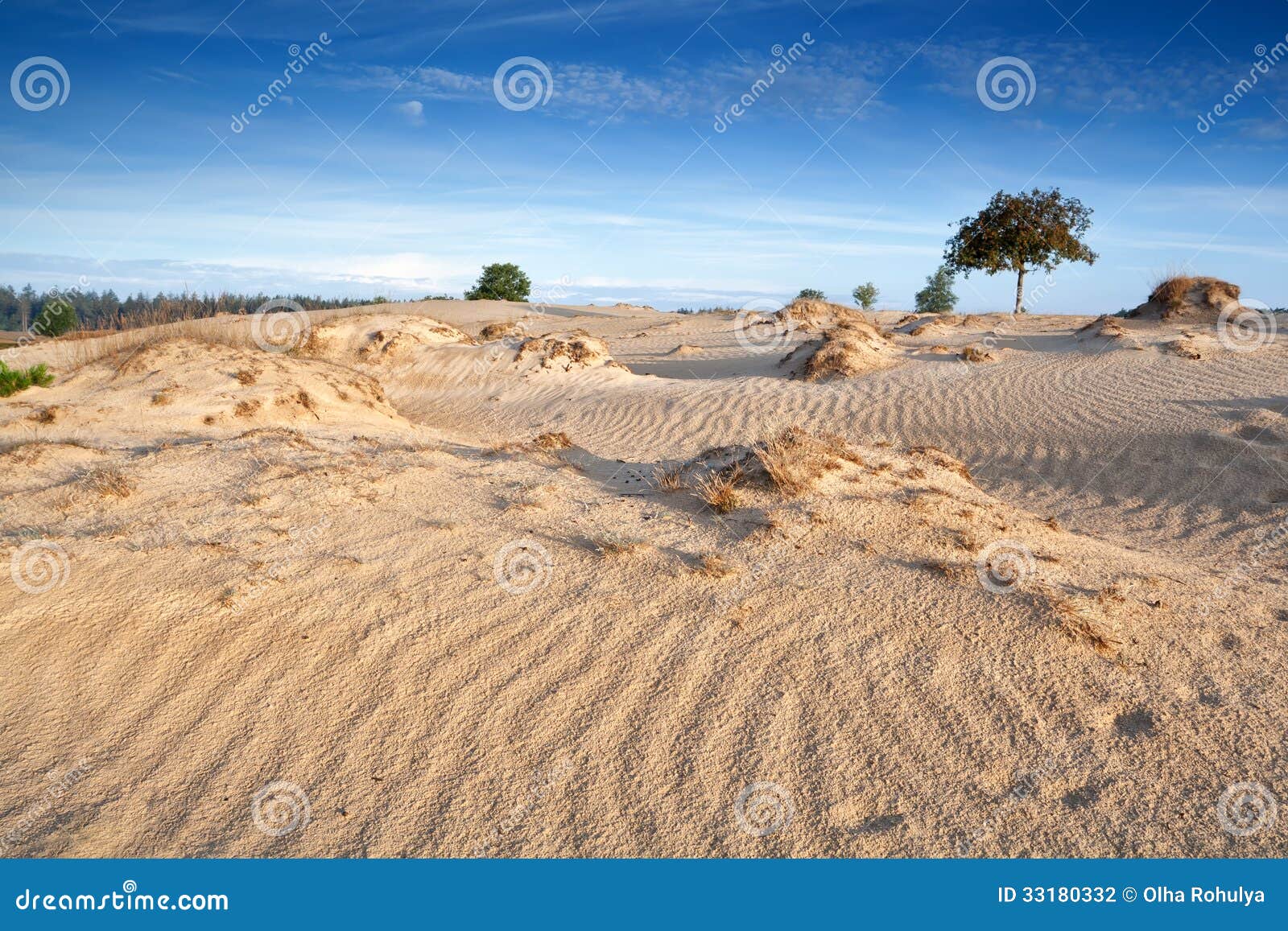 Wind texture on sand dunes stock photo. Image of sand - 33180332