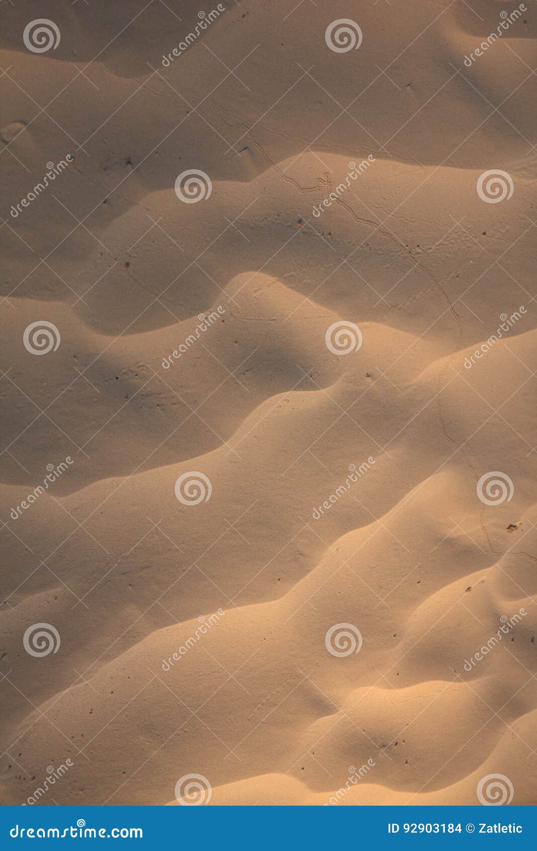Textures Of Wind Blown Patterns In The Sand Dunes On A Sunny Beach ...