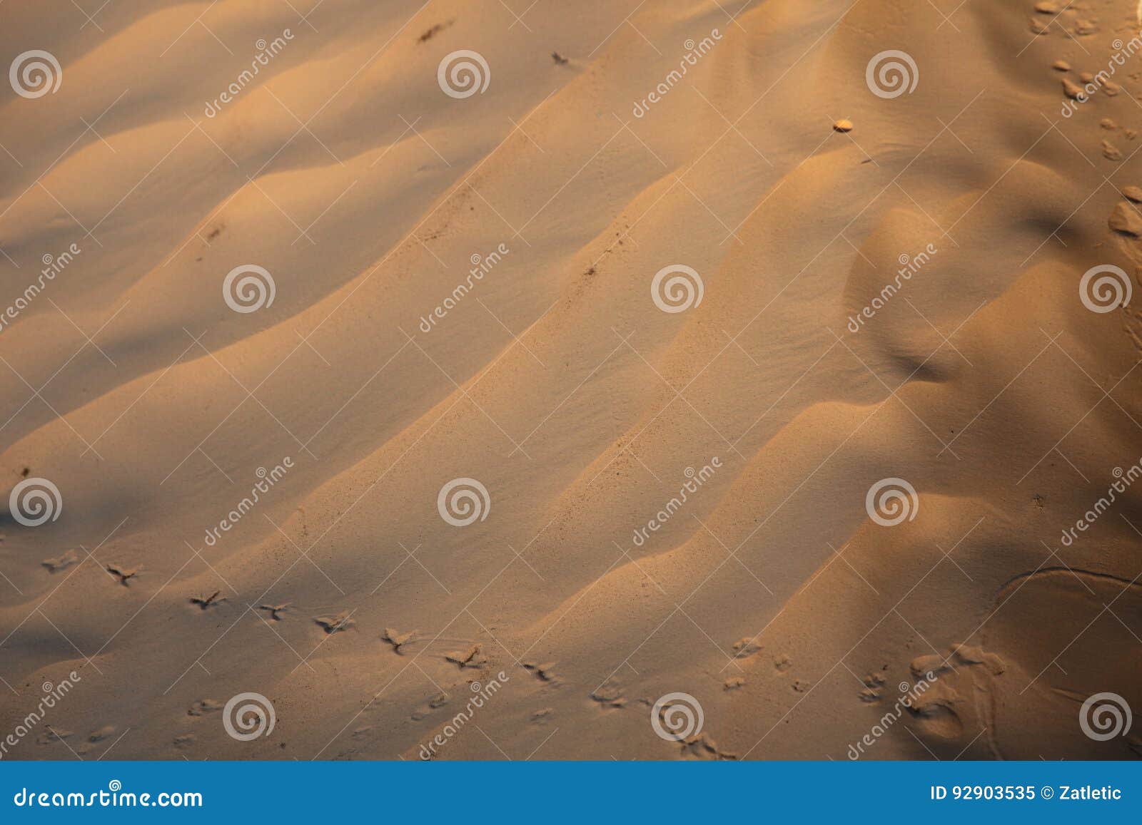 Textures Of Wind Blown Patterns In The Sand Dunes On A Sunny Beach ...