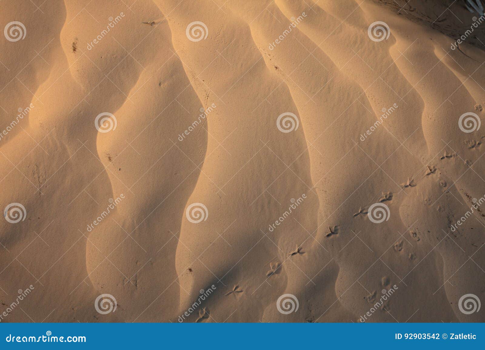 Textures Of Wind Blown Patterns In The Sand Dunes On A Sunny Beach ...