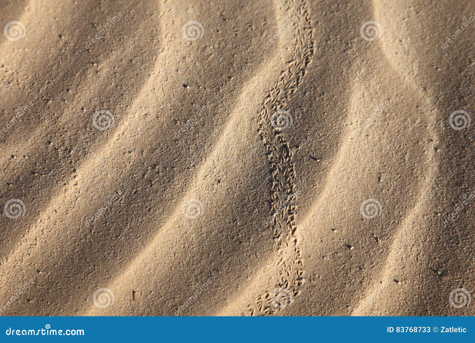 Wind textures on sand stock image. Image of heat, arabian - 83768733