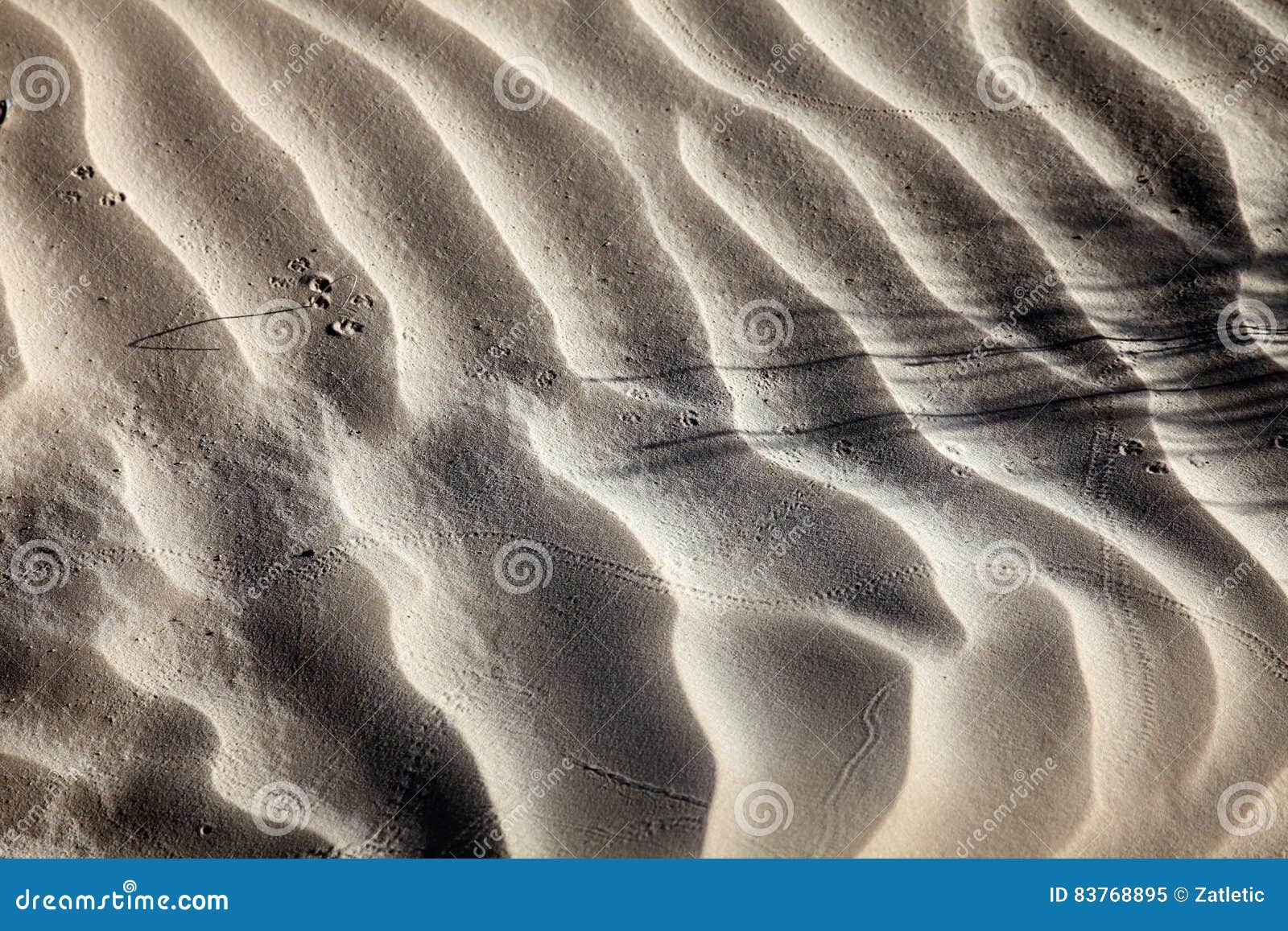 Textures Of Wind Blown Patterns In The Sand Dunes On A Sunny Beach ...