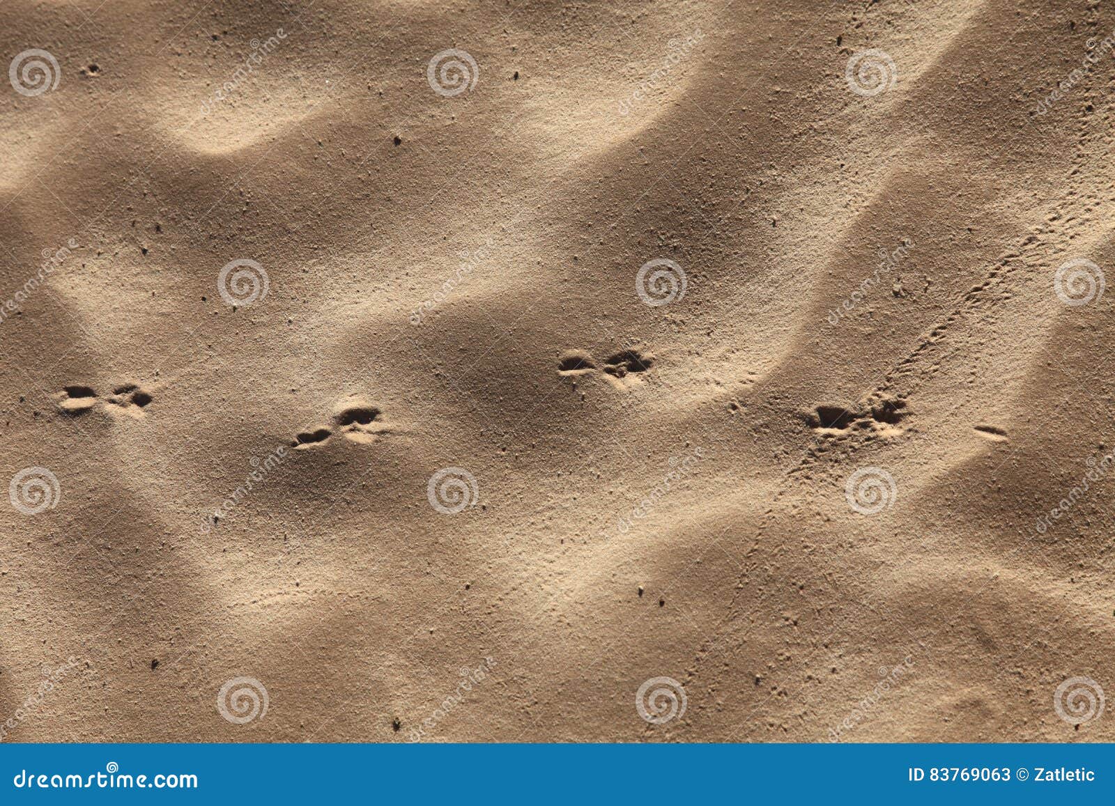 Wind textures on sand stock image. Image of outdoor, arabic - 83769063