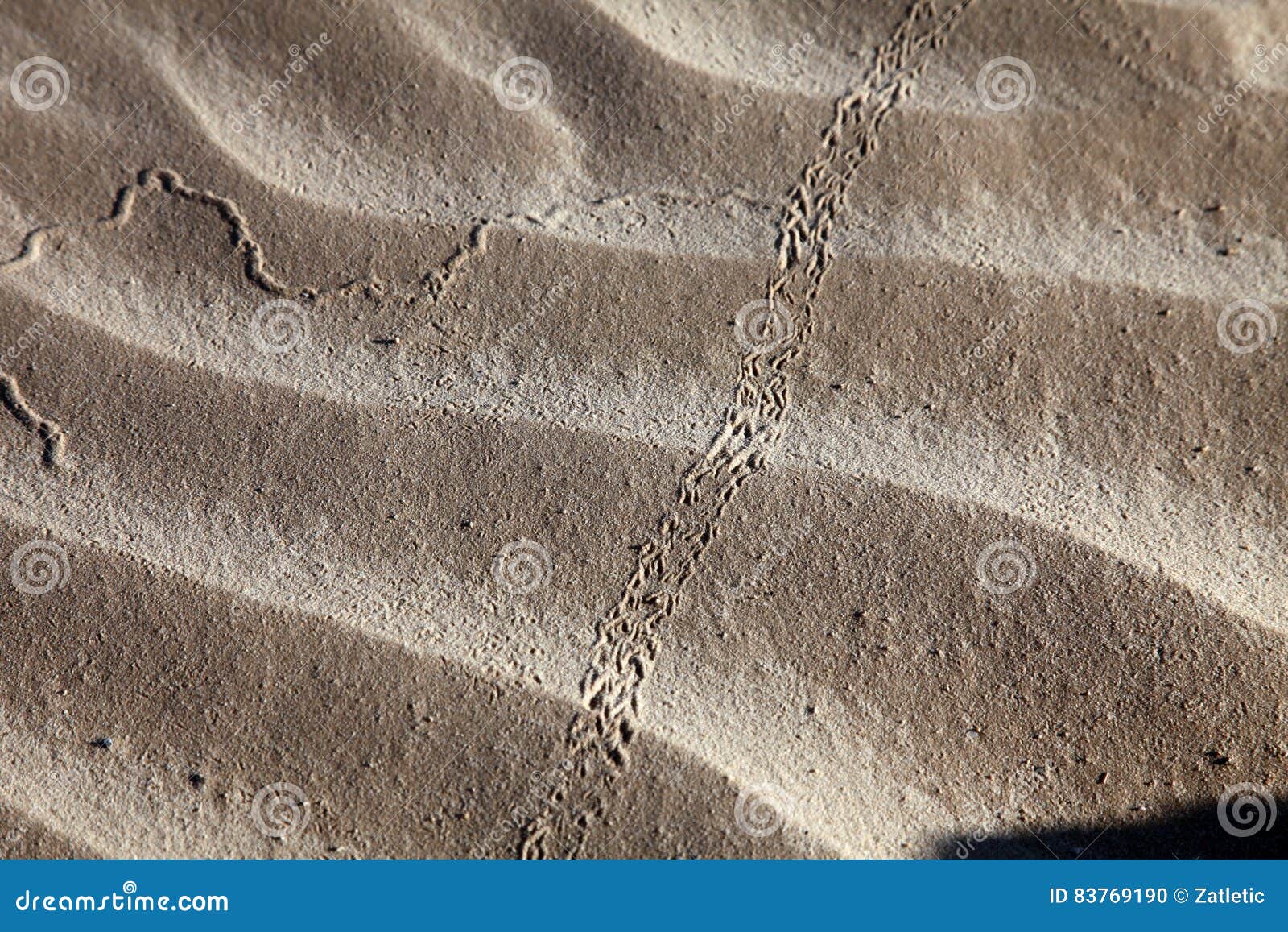 Wind textures on sand stock photo. Image of dune, relaxation - 83769190