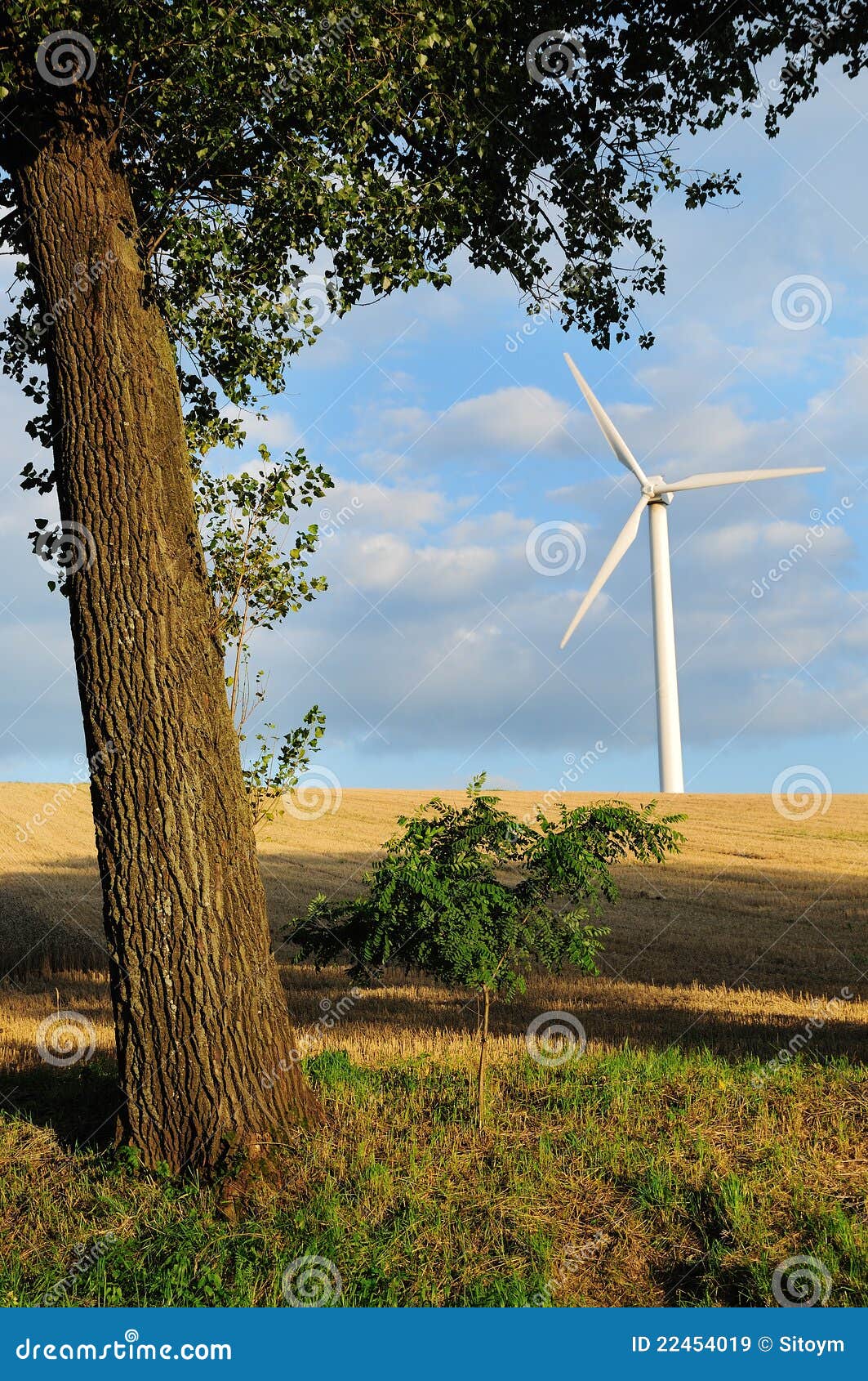 Wind turbine stock image. Image of energy, farm, tree - 22454019