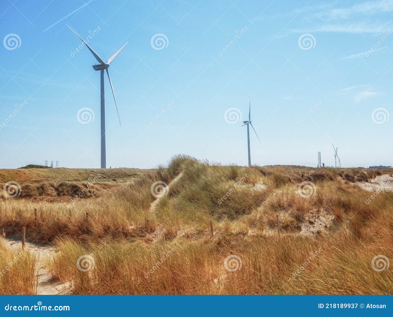 Wind Turbine Behind Dunes Covered with Marram Grass Under Blue Summer ...