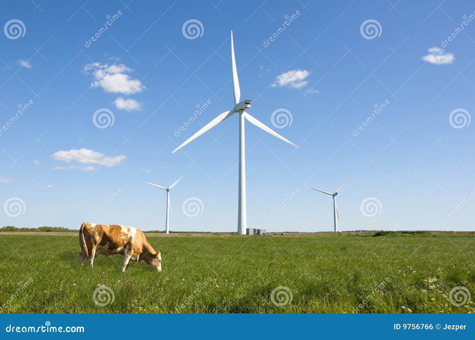 3,891 Cow Energy Stock Photos - Free & Royalty-Free Stock Photos from ...