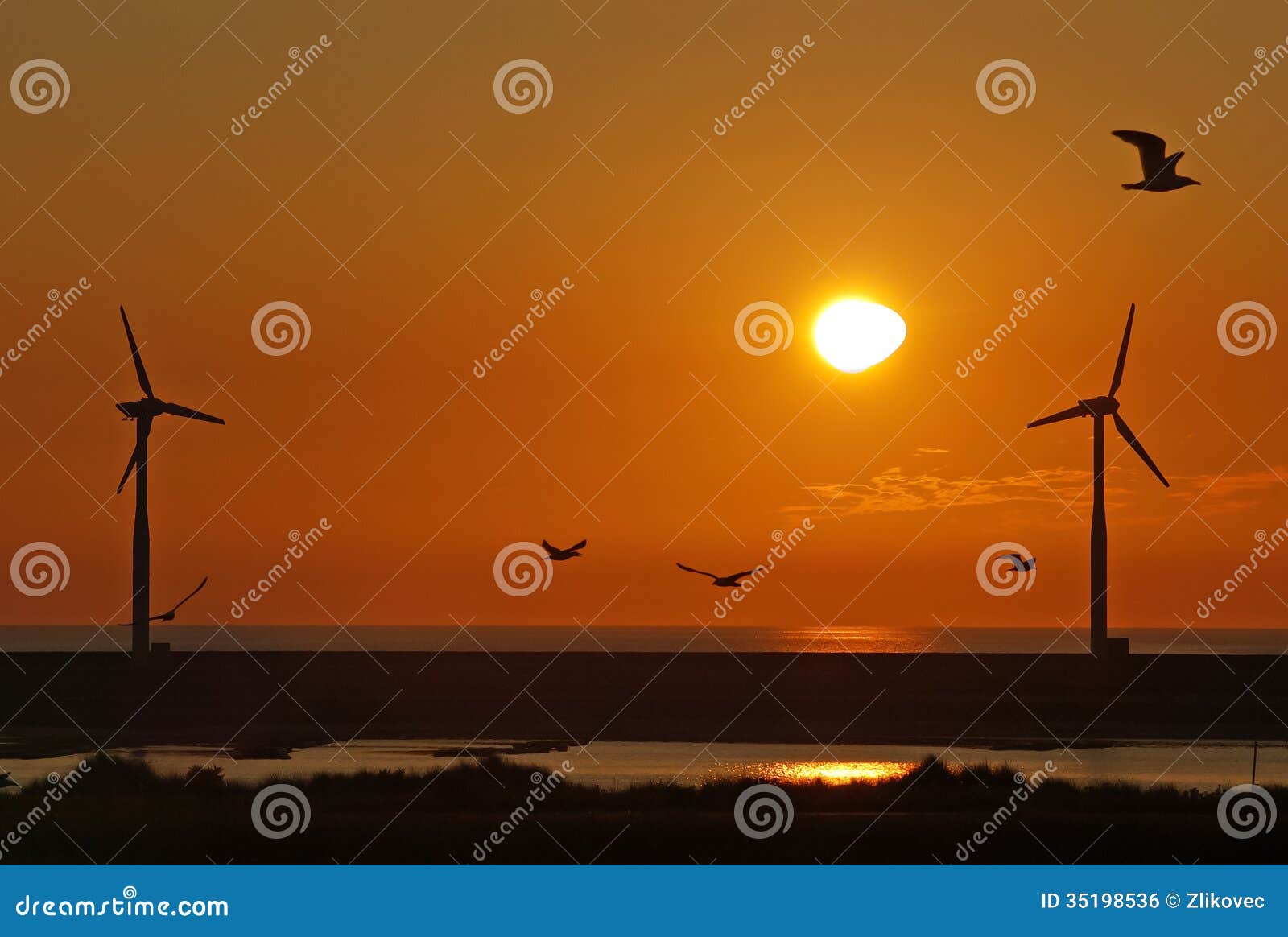 Wind Turbine Farm with Birds Stock Photo - Image of clean ...