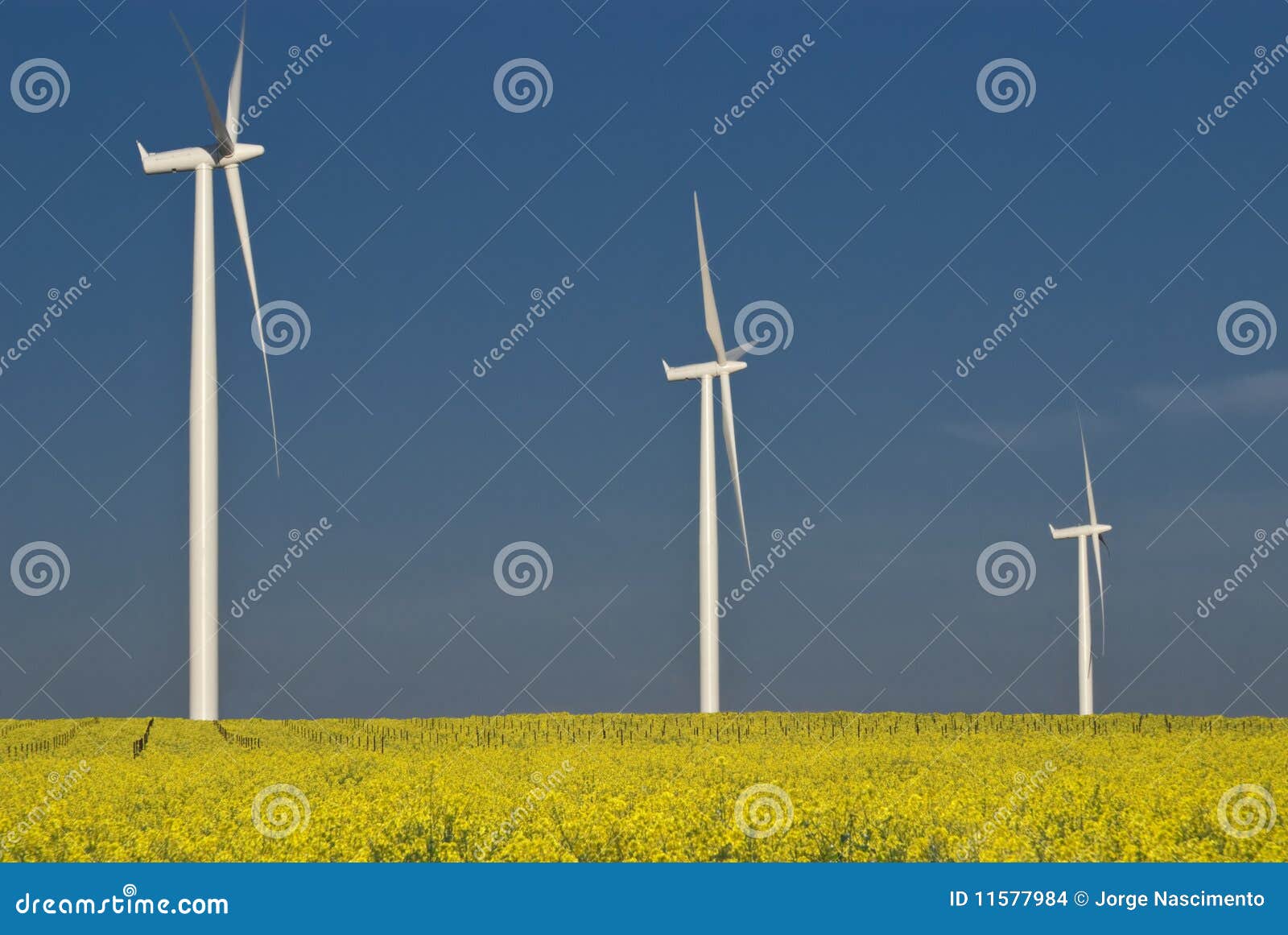 Wind turbine field stock photo. Image of mustard, power - 11577984