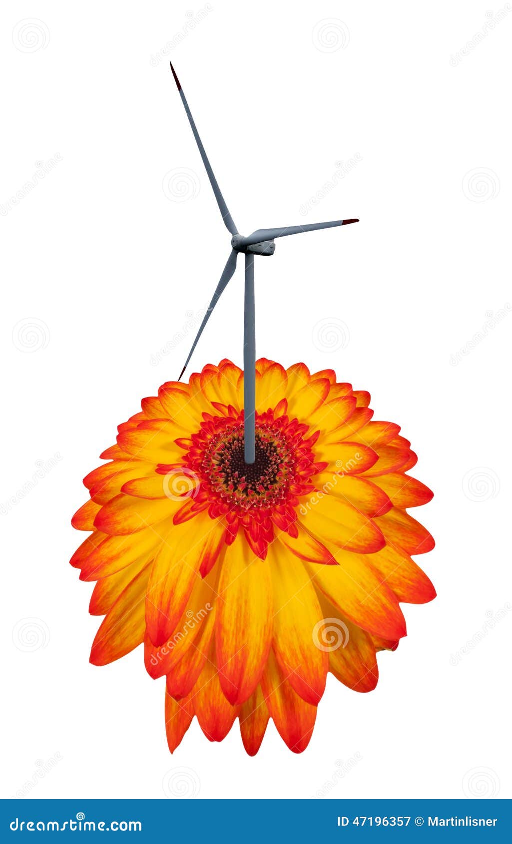 Wind Turbine Like a Flower Isolated on White Stock Image - Image of ...