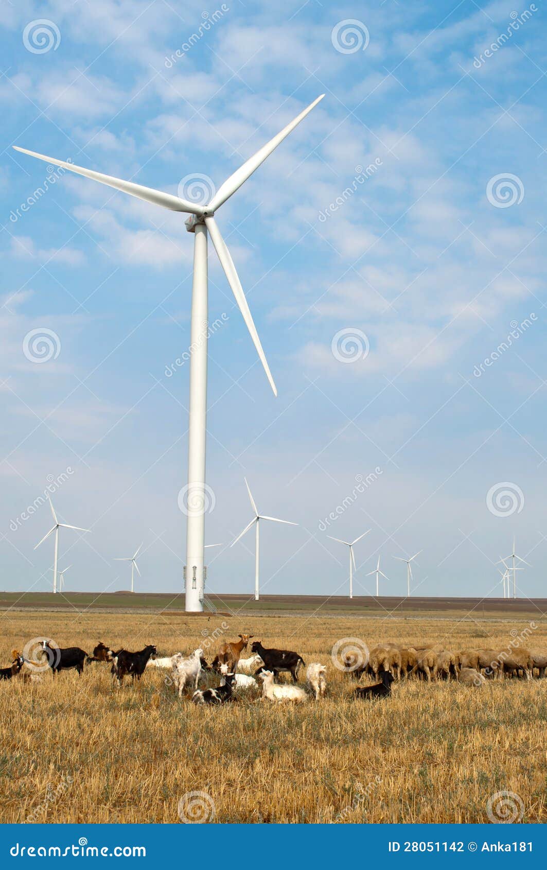 Wind Turbine Park in Romania Stock Photo - Image of alternate, clouds ...