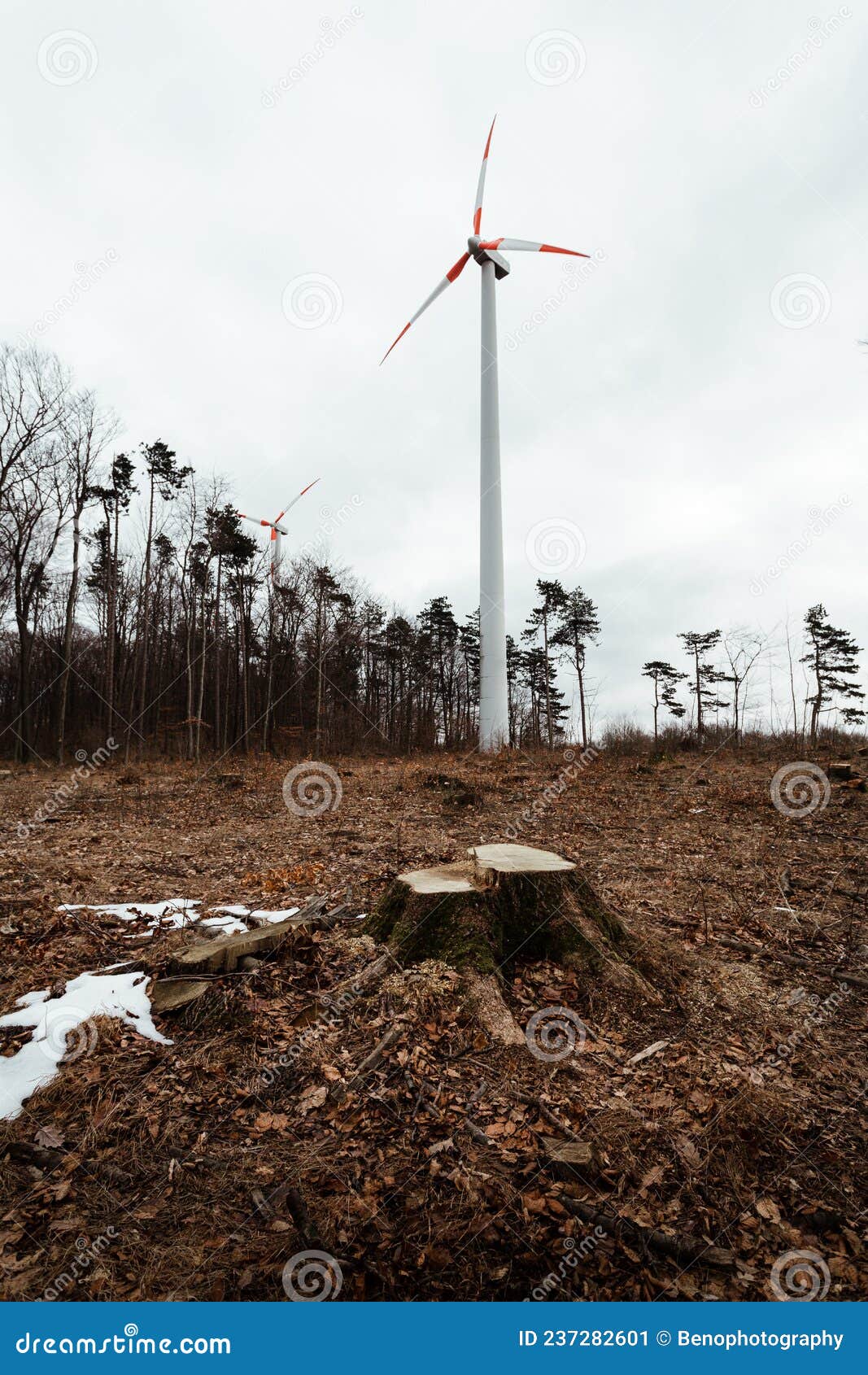Wind Turbine Station in Destroyed and Deforested Forest with Tree Stump ...