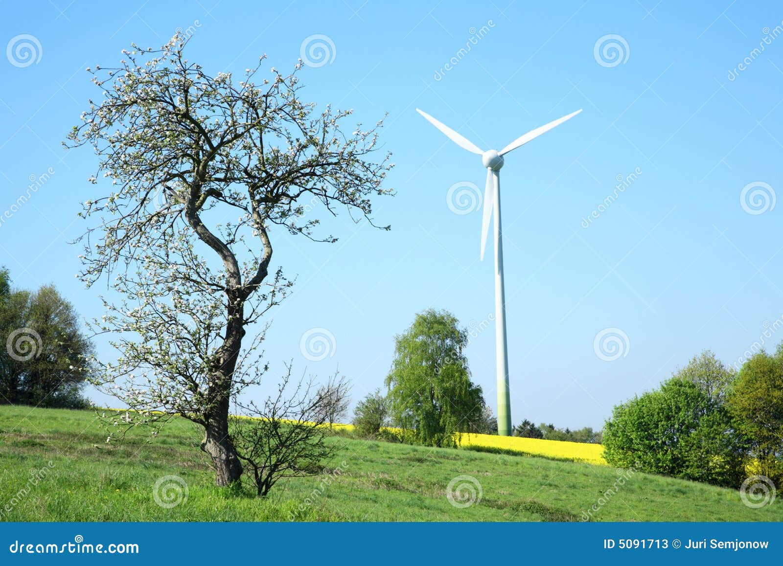 Wind turbine and tree. stock image. Image of hill, blue - 5091713