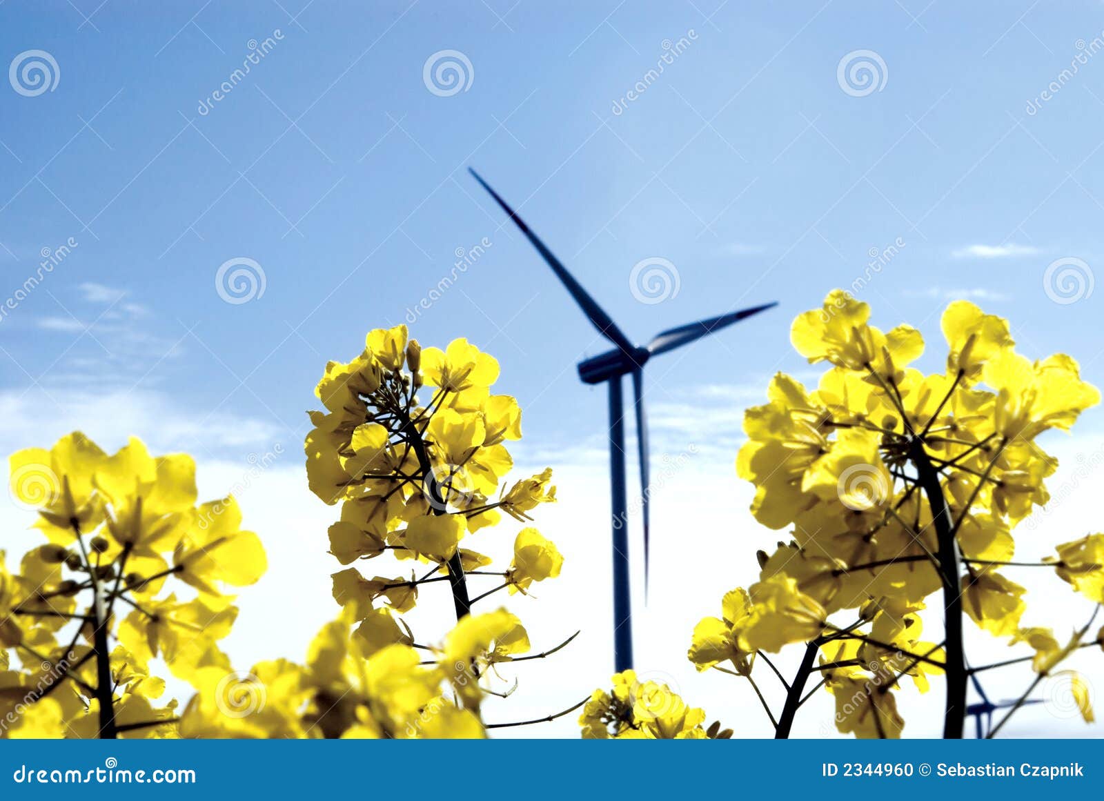 Wind Turbine, Yellow Field. Stock Photo - Image of closeup, green: 2344960